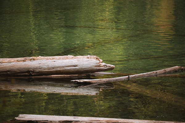 Calm Water Photos, Download The BEST Free Calm Water Stock Photos & HD ...