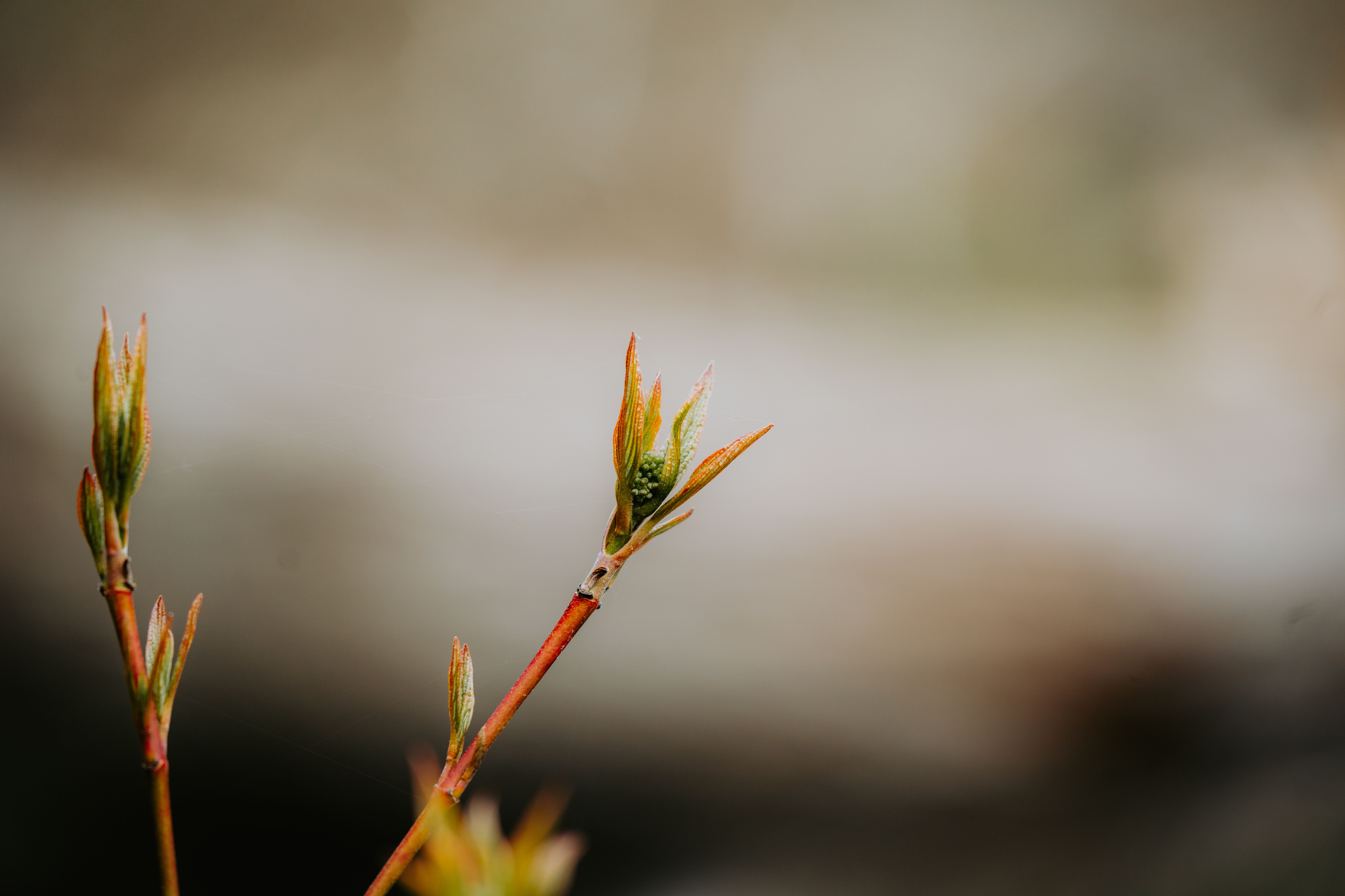 Change Is Okay Photos, Download The BEST Free Change Is Okay Stock ...