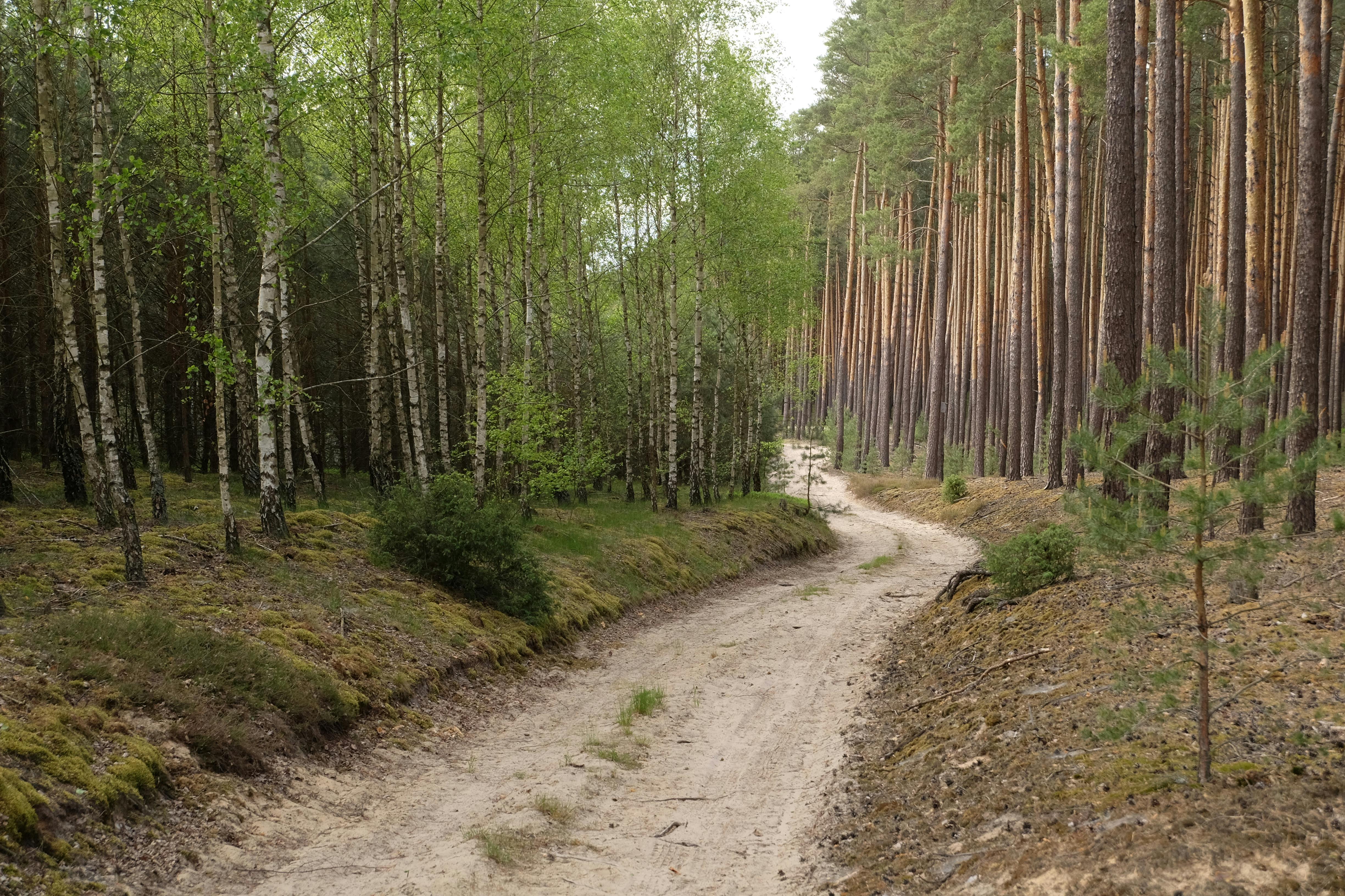 Natural Hideaway Photos, Download The BEST Free Natural Hideaway Stock ...