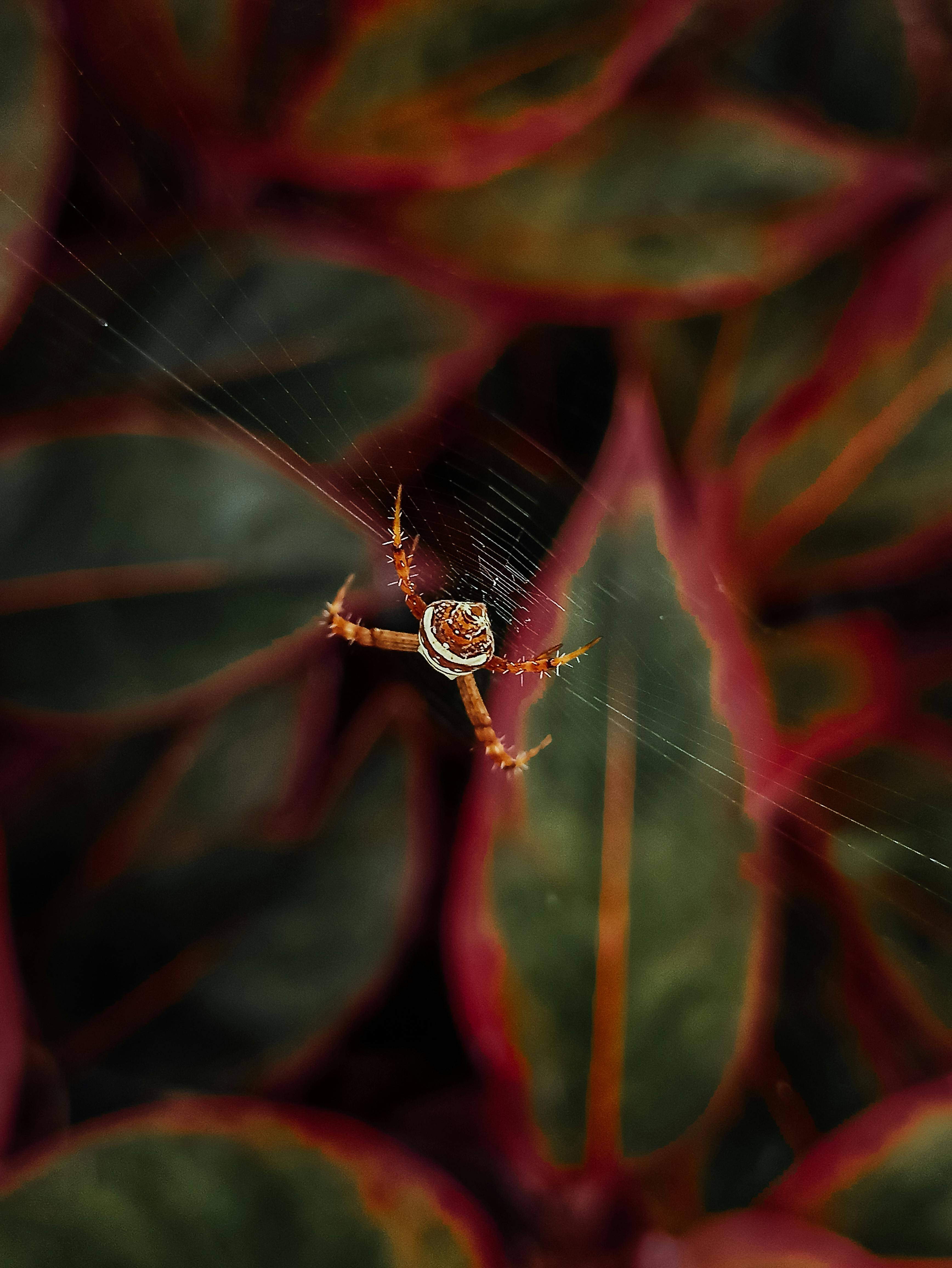 Web Site Backgrounds Photos, Download The BEST Free Web Site ...