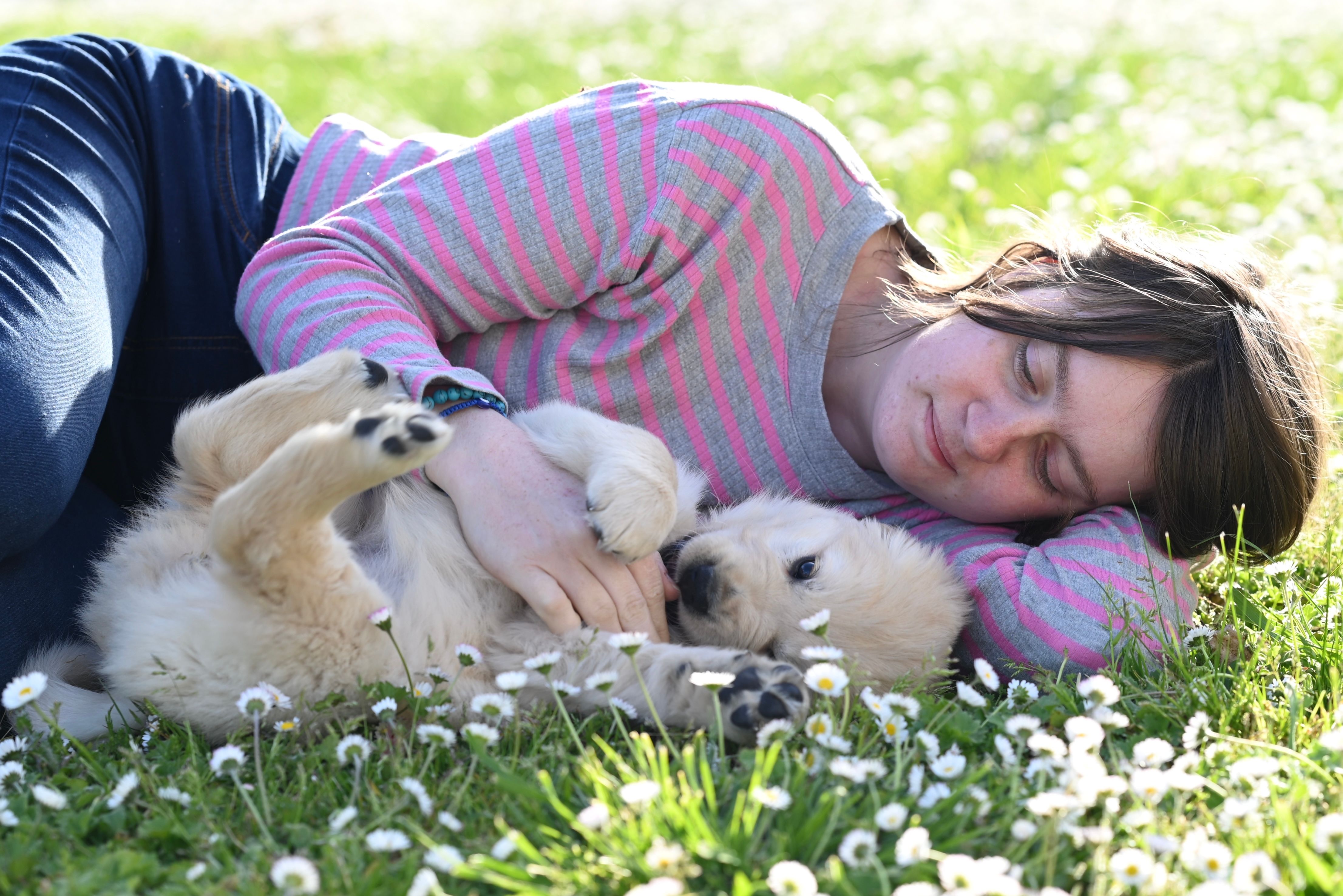 Cute Adult Dog Photos, Download The BEST Free Cute Adult Dog Stock ...