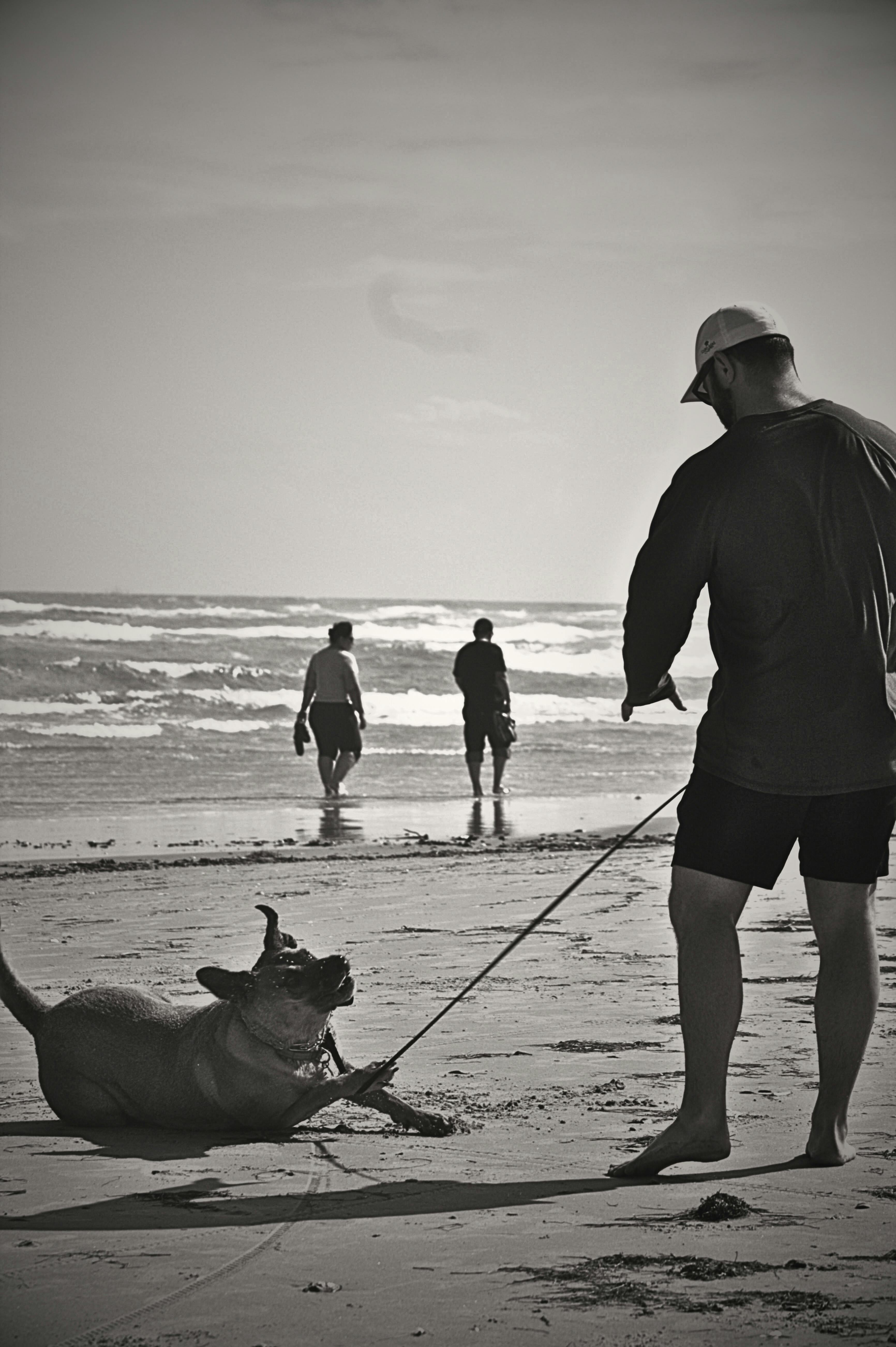 alfredo martinez - Photography