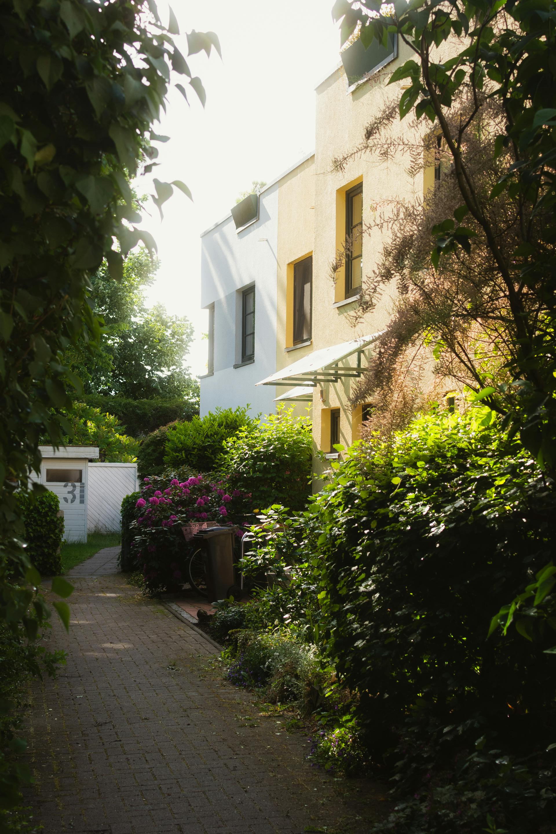 Charming Residential Pathway Surrounded by Lush Greenery · Free Stock Photo