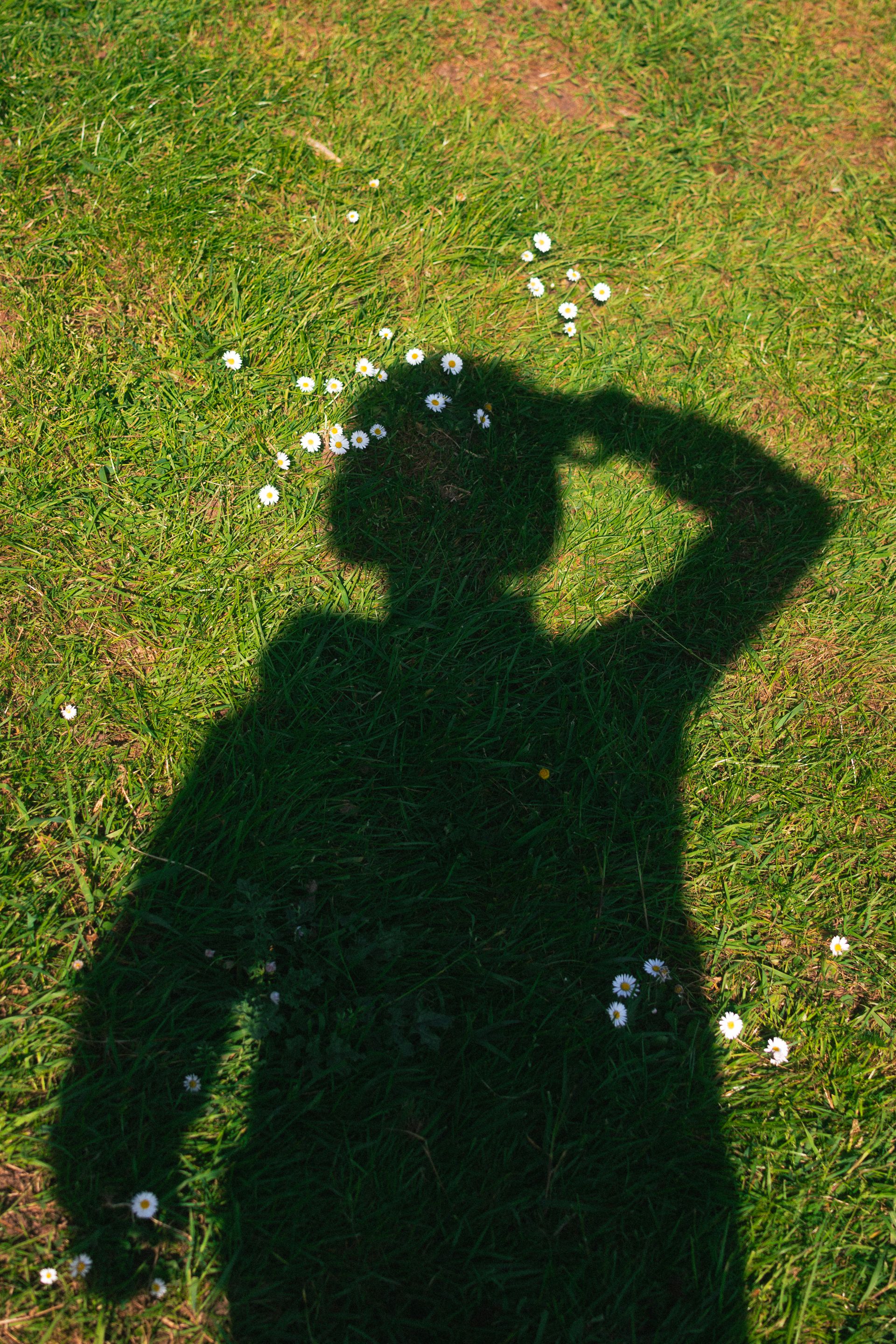 Shadow Silhouette on Green Grass with Daisies · Free Stock Photo