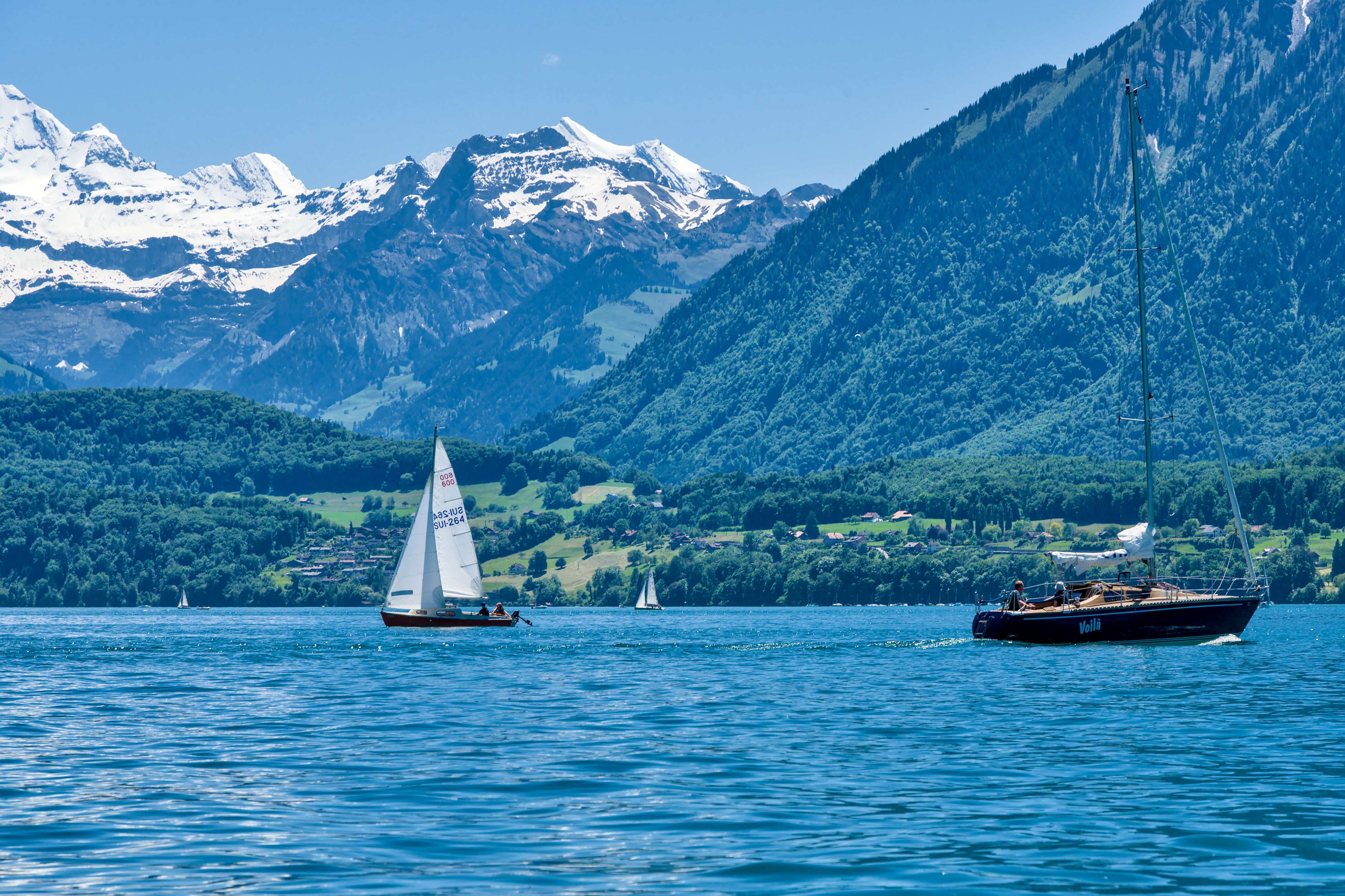 Sailboats on Lake Thun with Swiss Alps Backdrop · Free Stock Photo