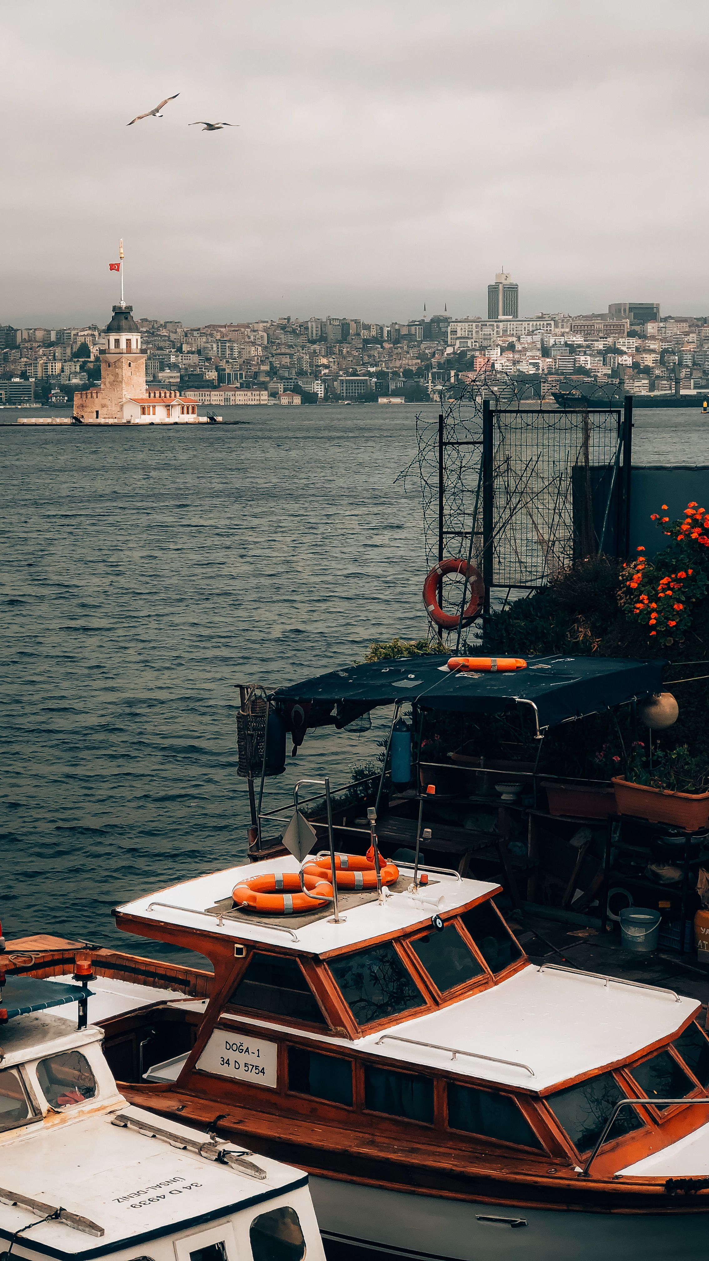 Water Transport Photos, Download The BEST Free Water Transport Stock ...