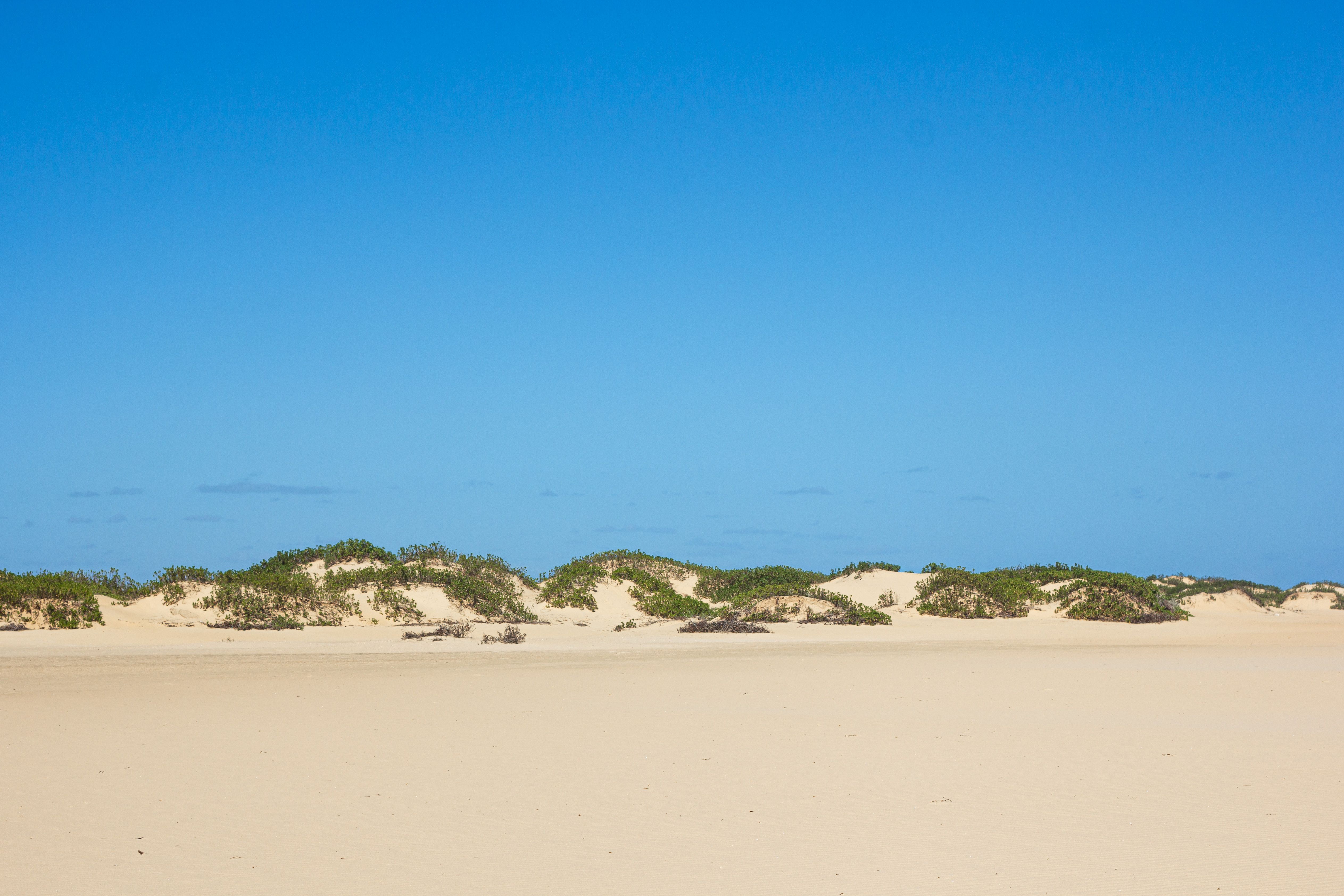 Sunny Sand Dunes in Ifaty, Madagascar · Free Stock Photo