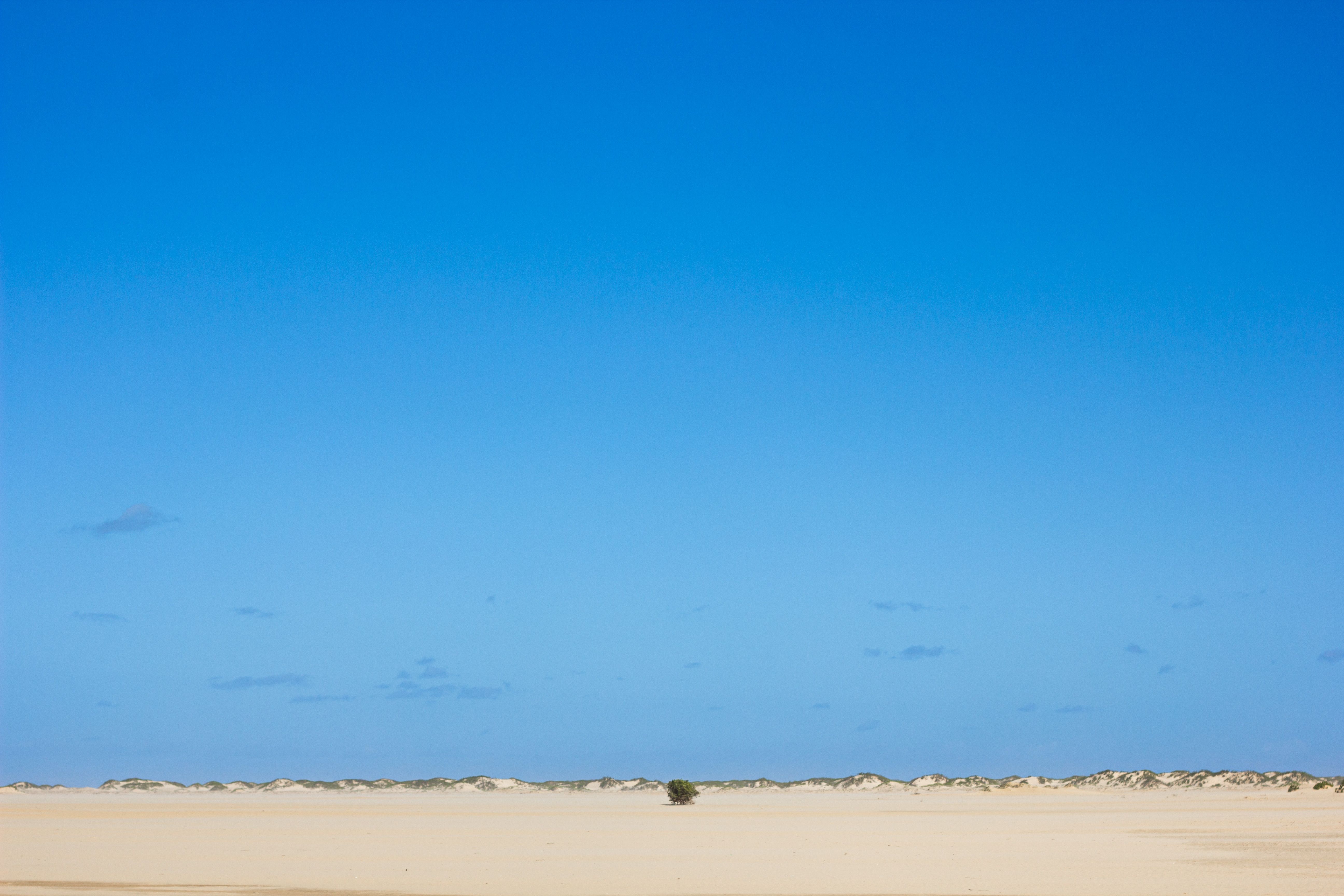 Arbre Solitaire Sur Les Sables Blancs Déserts De Madagascar · Photo ...