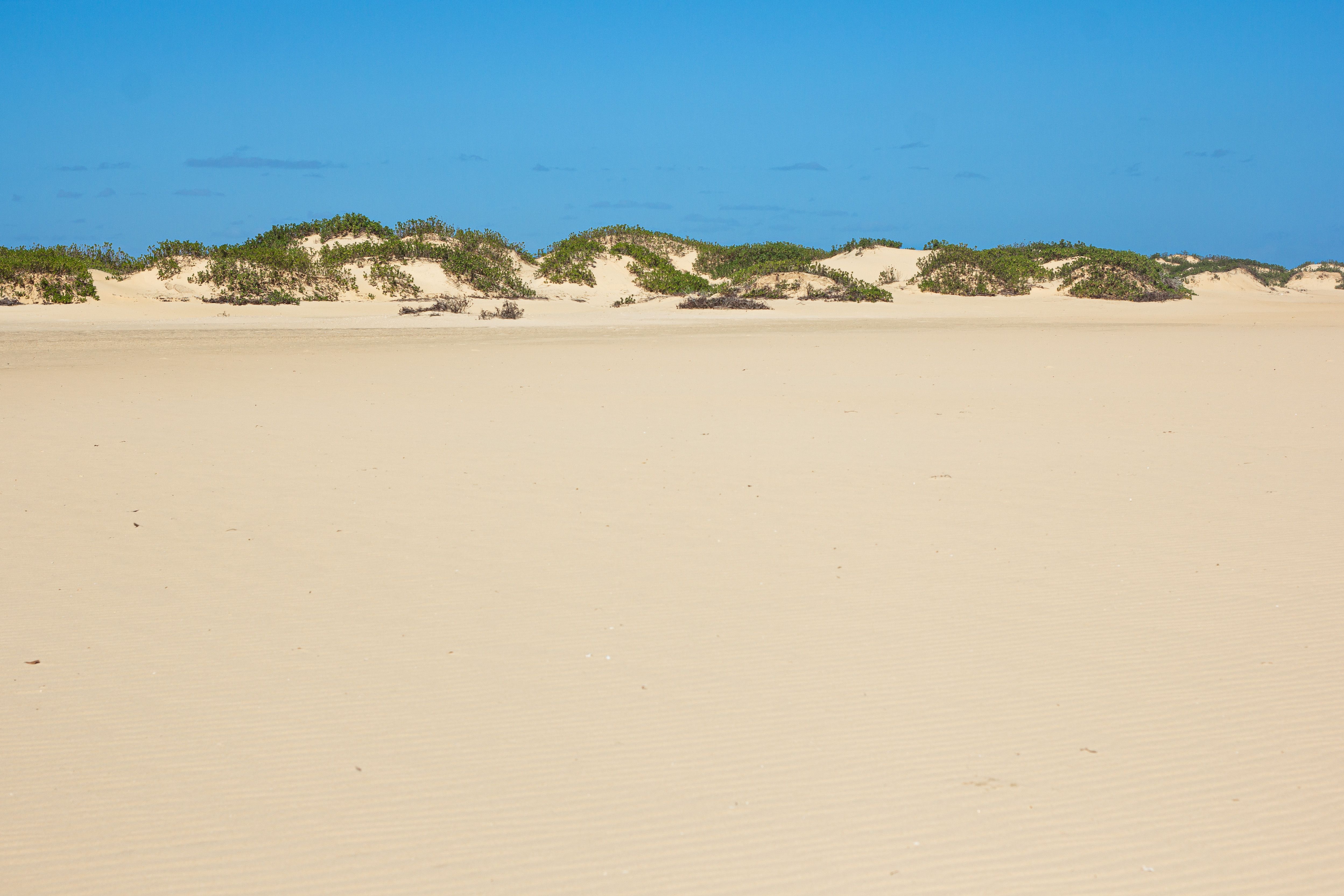 Tranquil Sand Dunes at Ifaty, Madagascar · Free Stock Photo