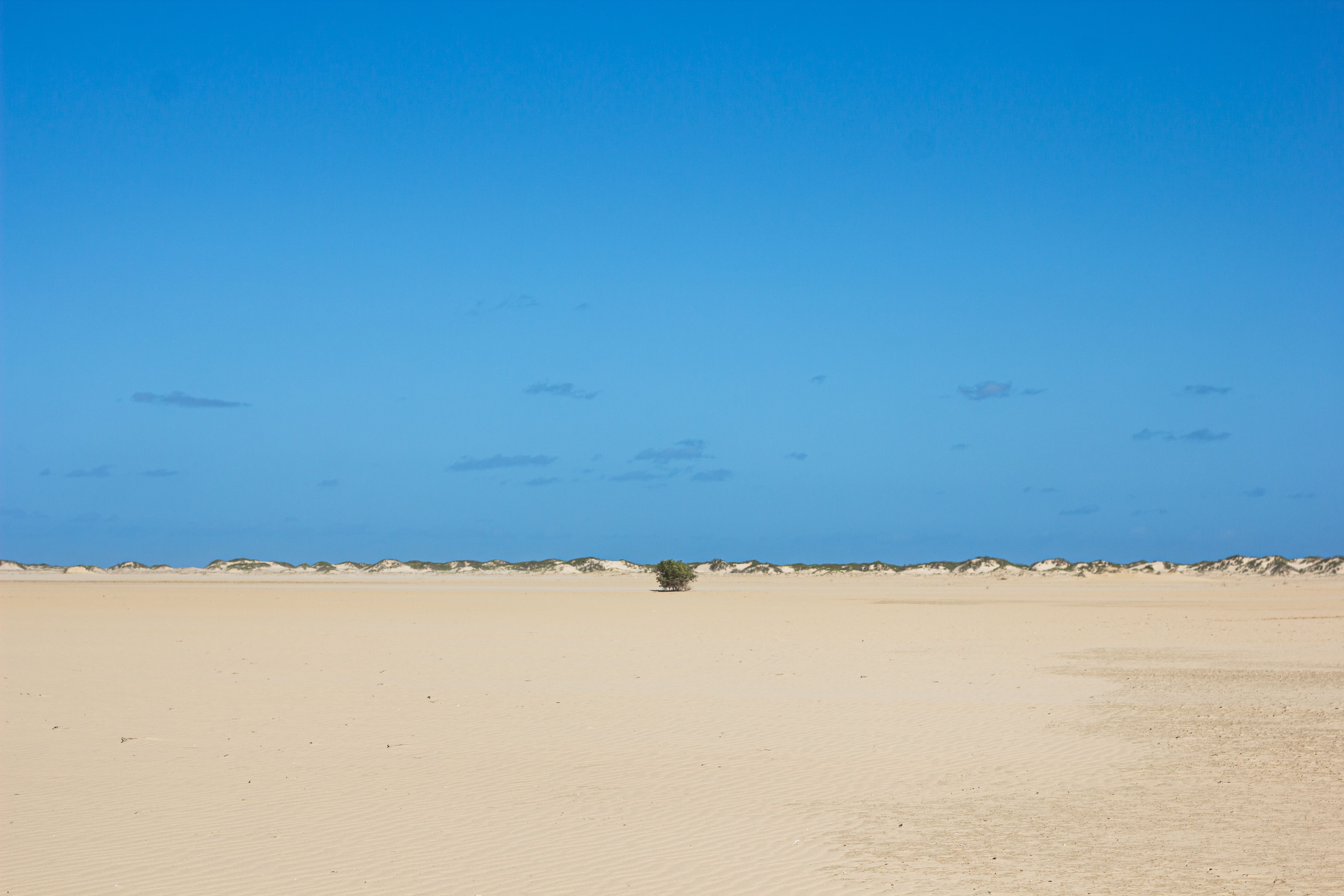 Serene Sand Dunes in Ifaty, Madagascar · Free Stock Photo