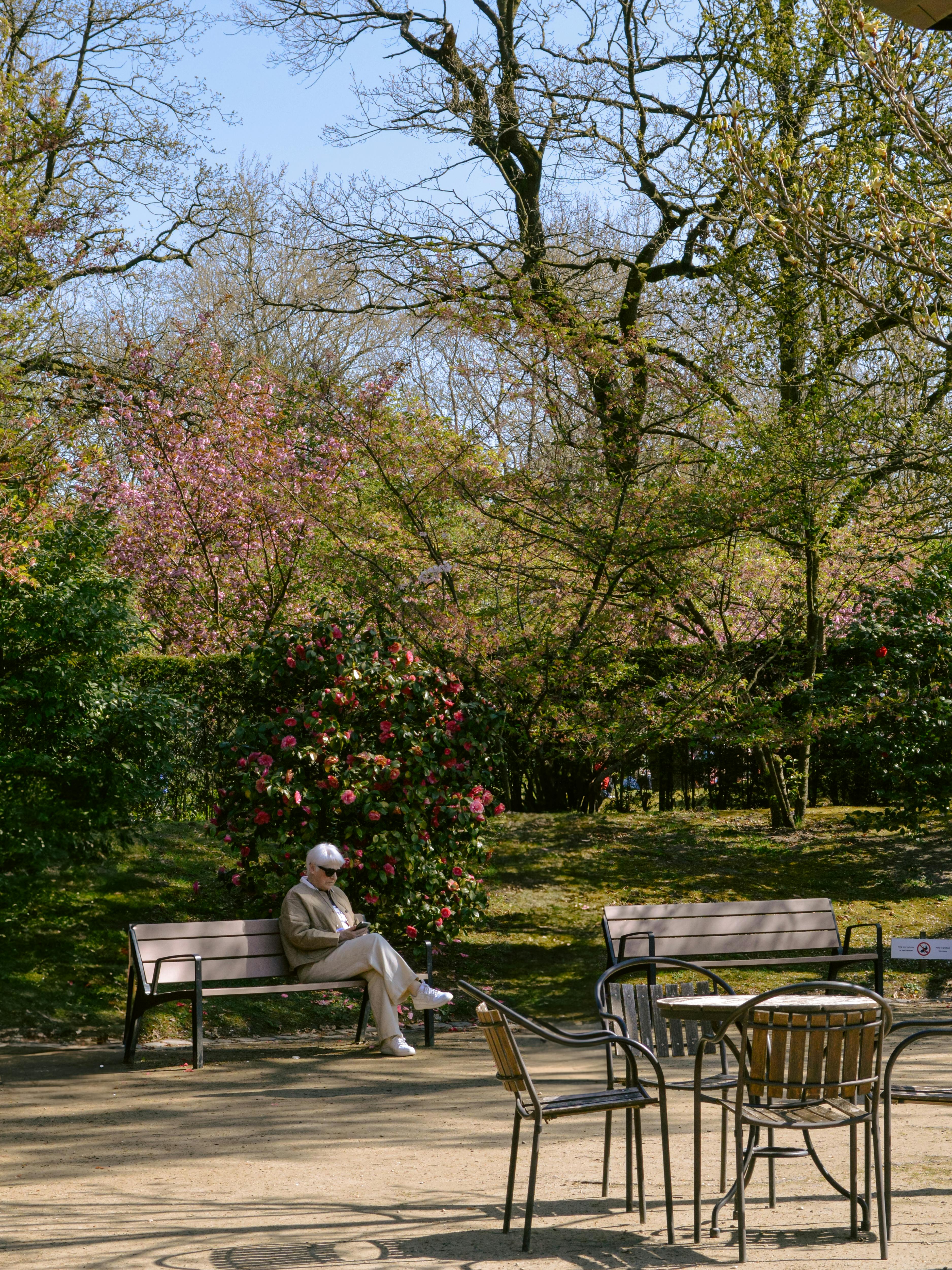 Quiet Spring Day in Scenic Park · Free Stock Photo