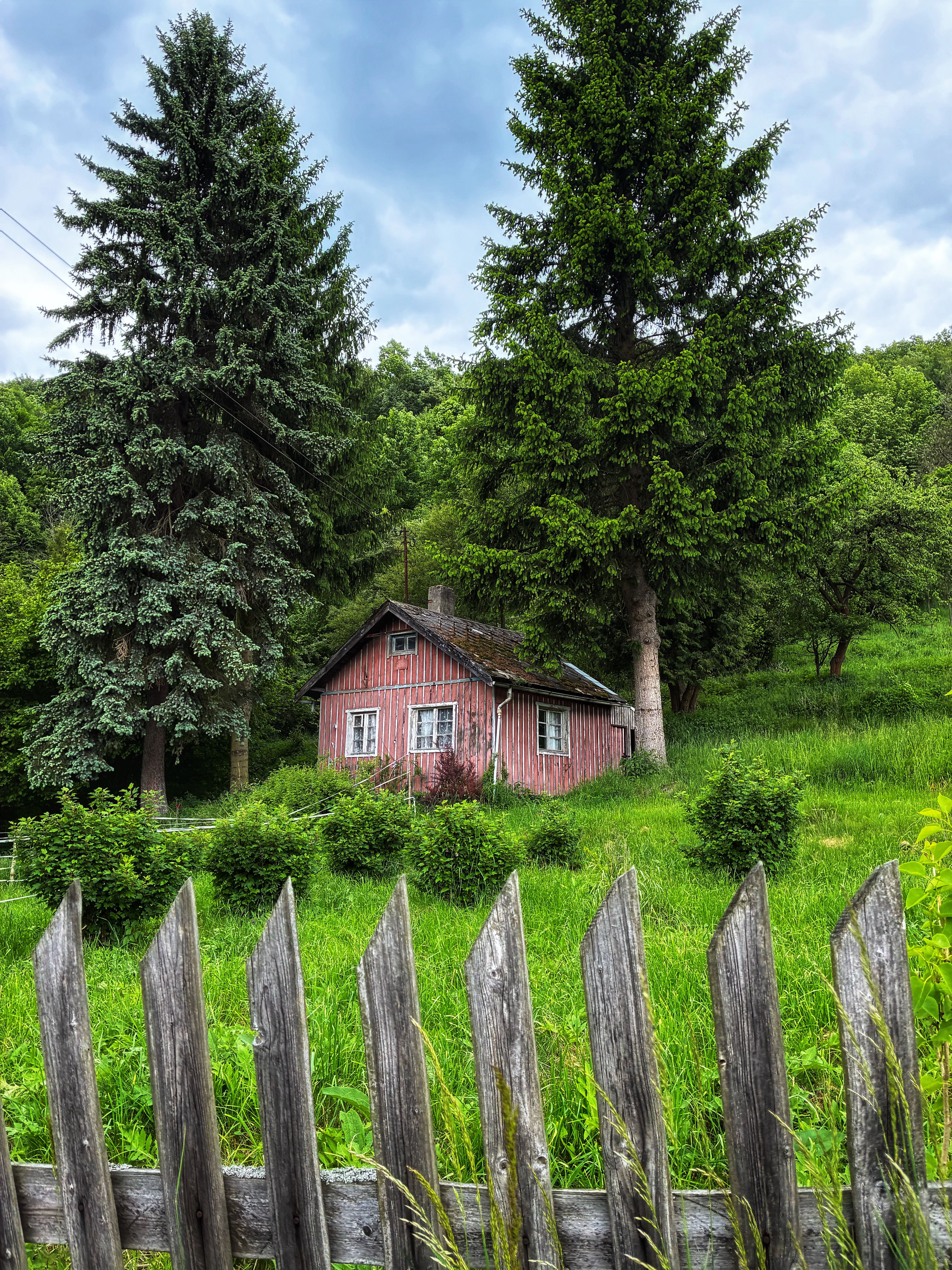 Charming Wooden Cabin in Lush Polish Countryside · Free Stock Photo
