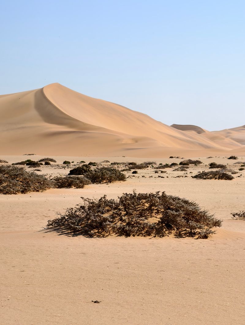 Desert Landscape Photos, Download The BEST Free Desert Landscape Stock ...