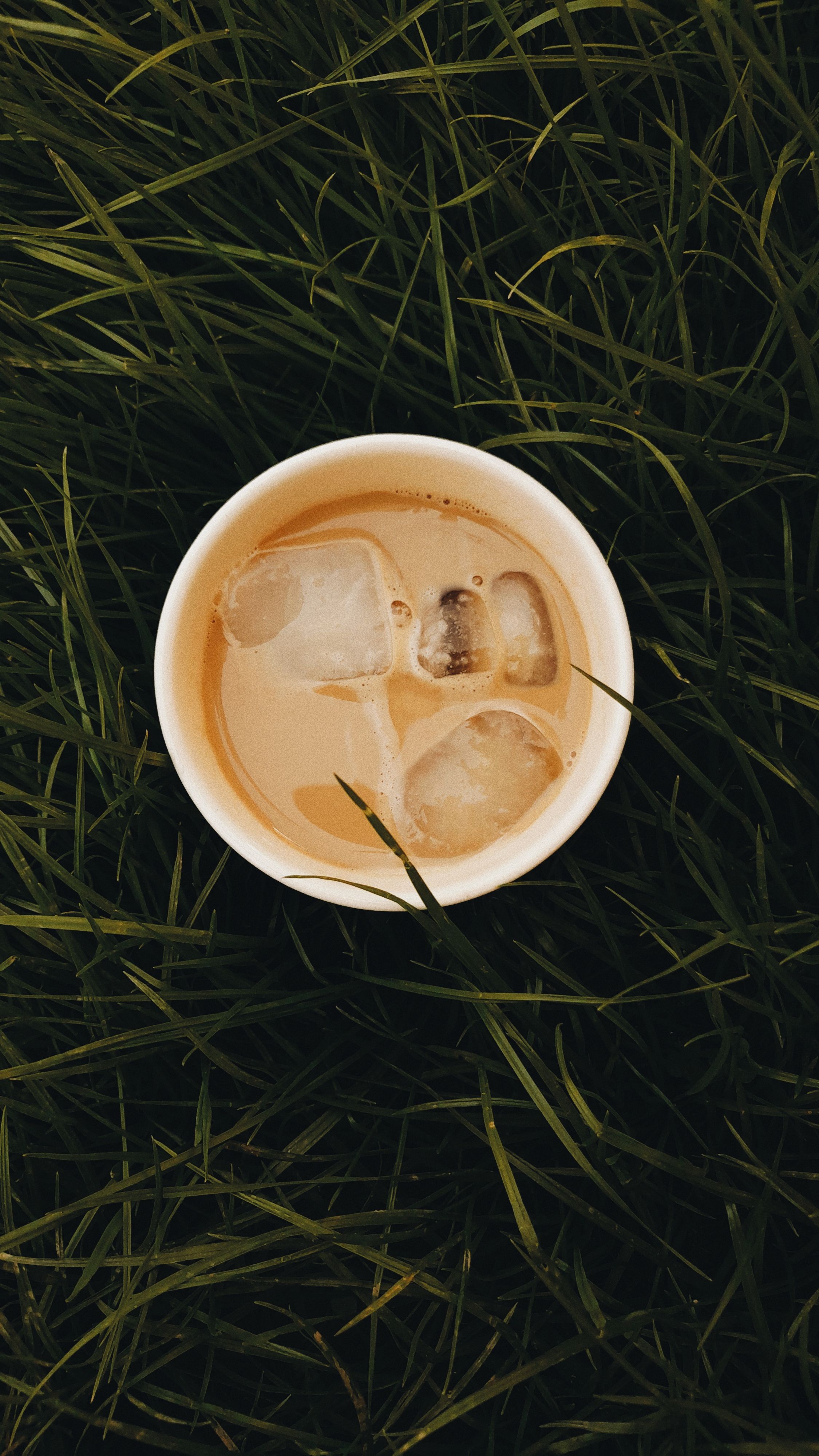 Picnic Coffee Photos, Download The BEST Free Picnic Coffee Stock Photos ...