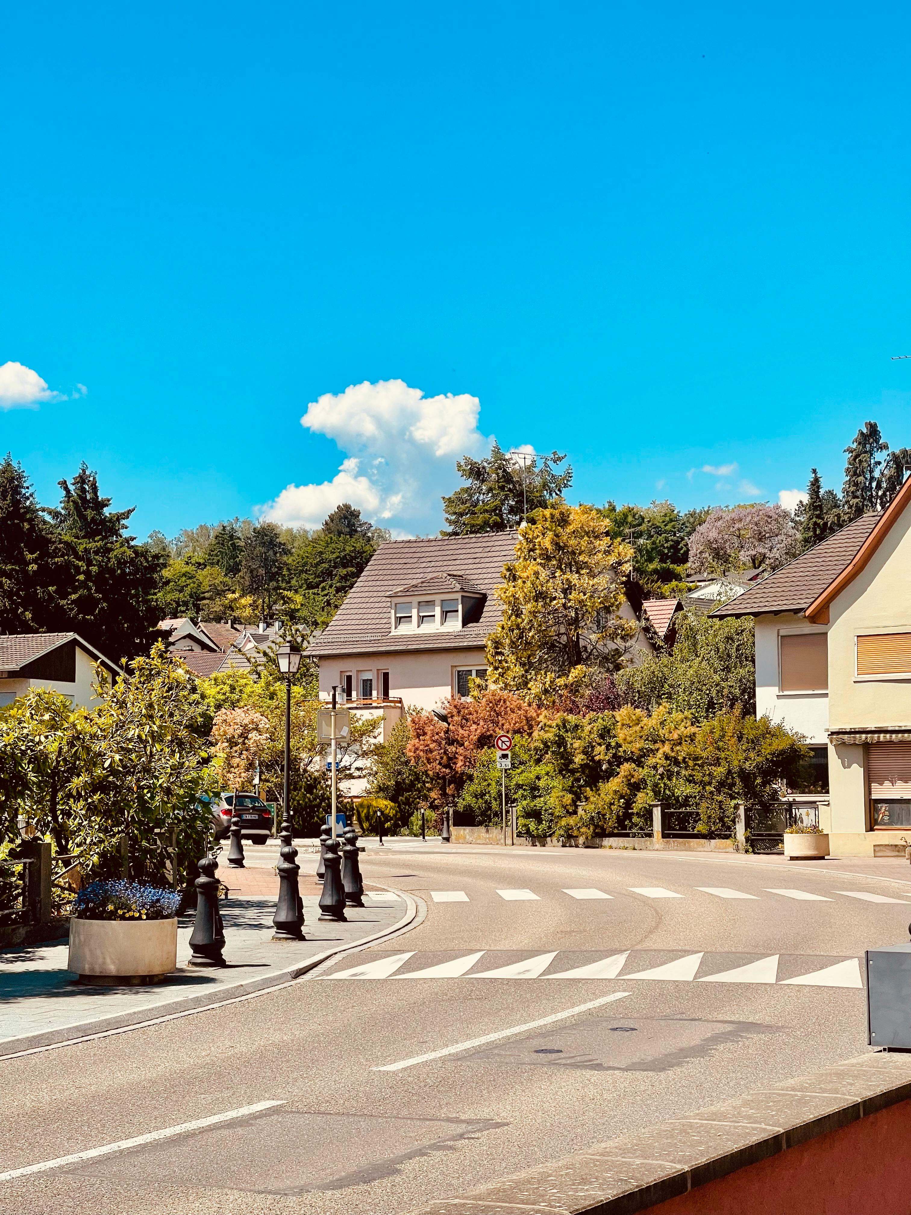 Charming Suburban Street on a Sunny Day · Free Stock Photo