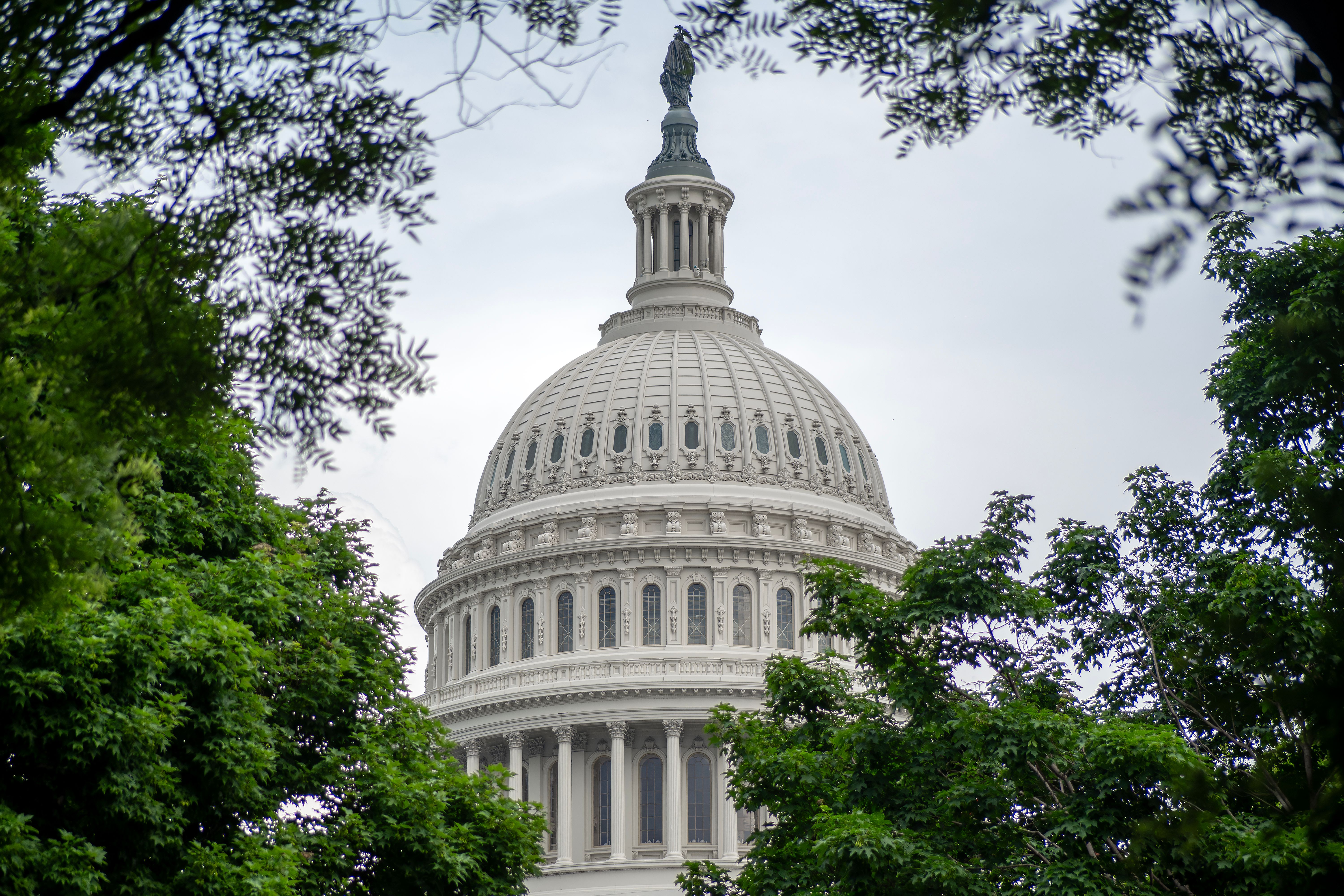 Politicians Photos, Download The BEST Free Politicians Stock Photos ...