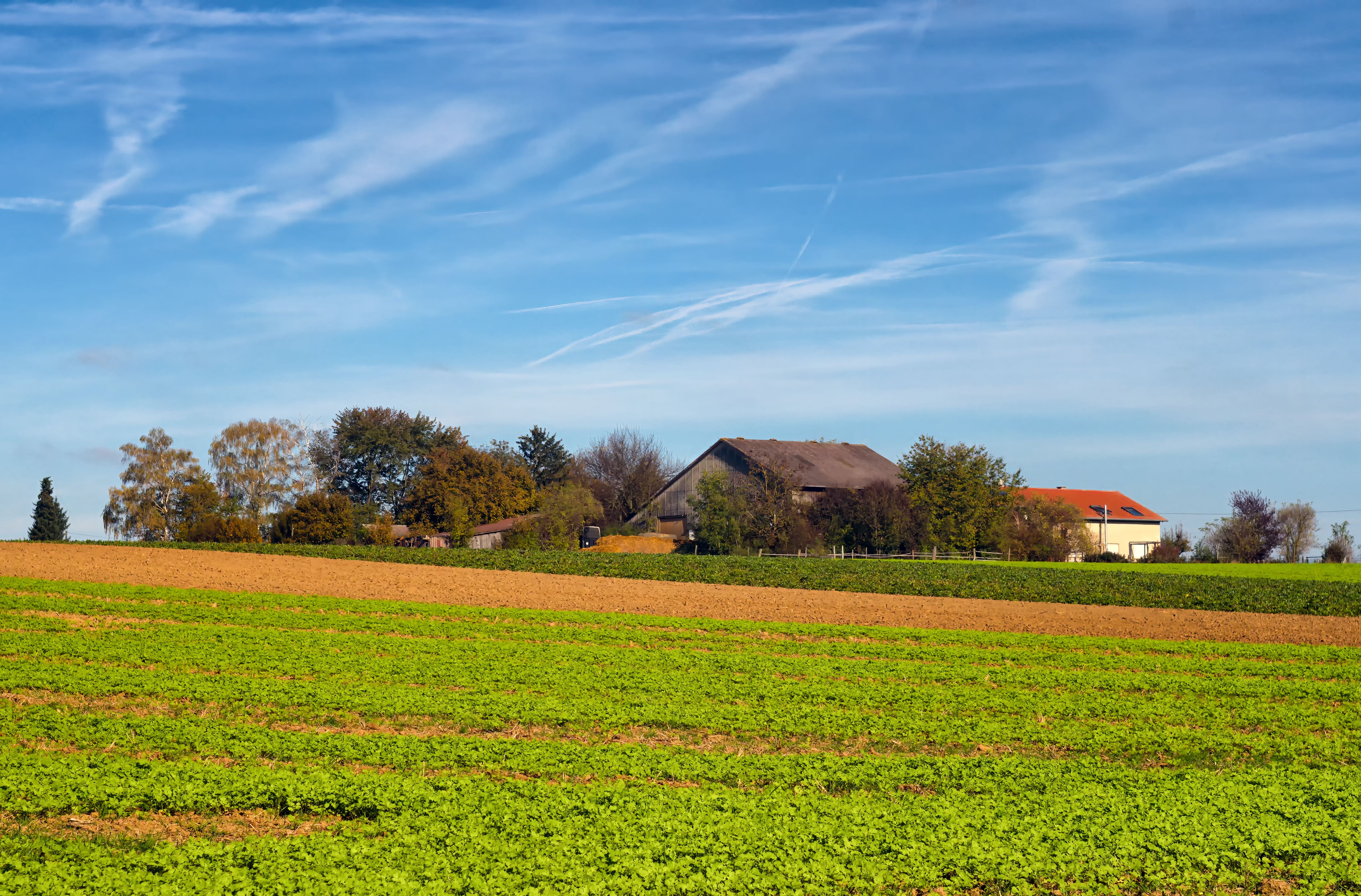Indian Farm House Photos, Download The BEST Free Indian Farm House ...