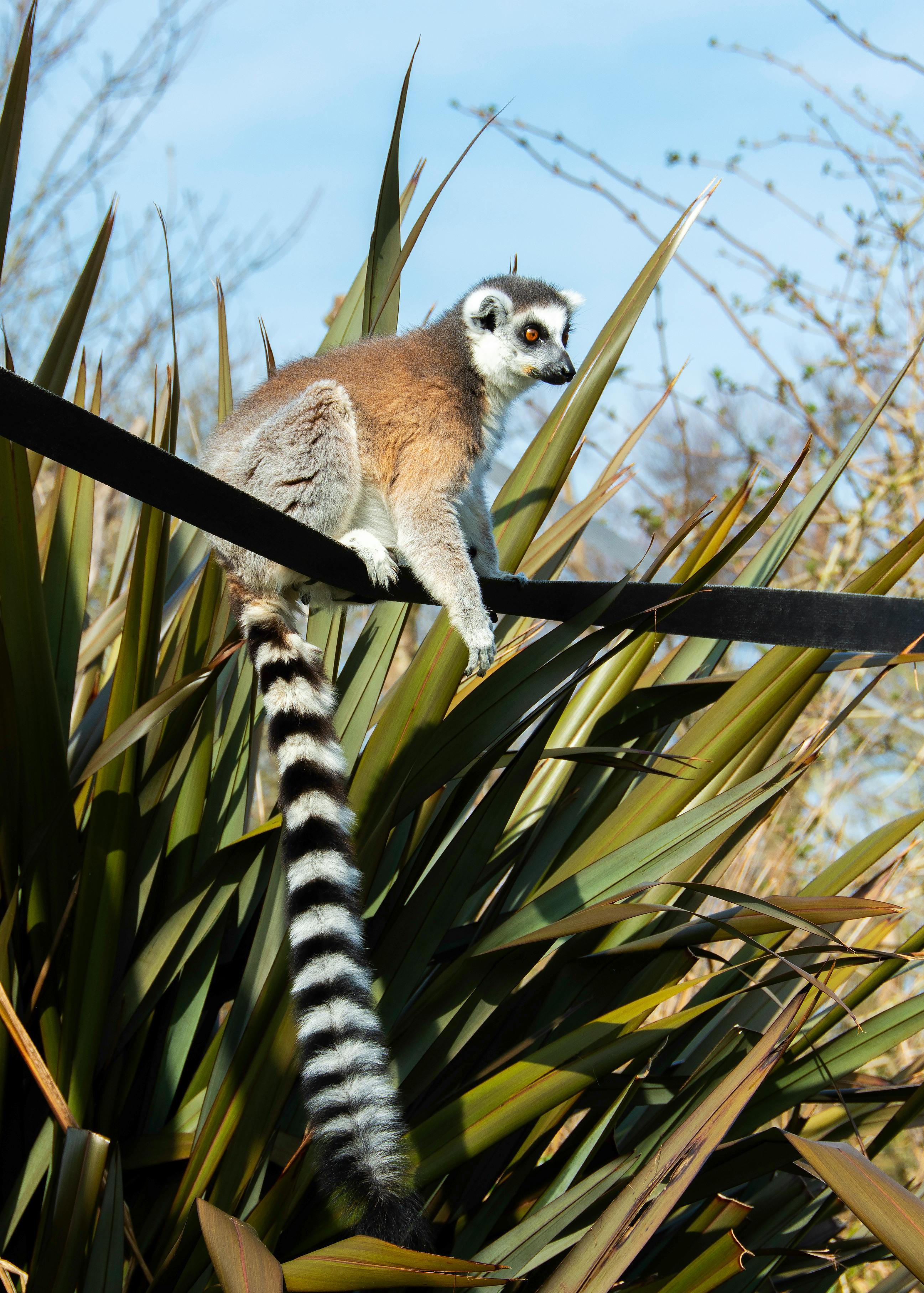 Biodiversity Conservation Photos, Download The BEST Free Biodiversity ...