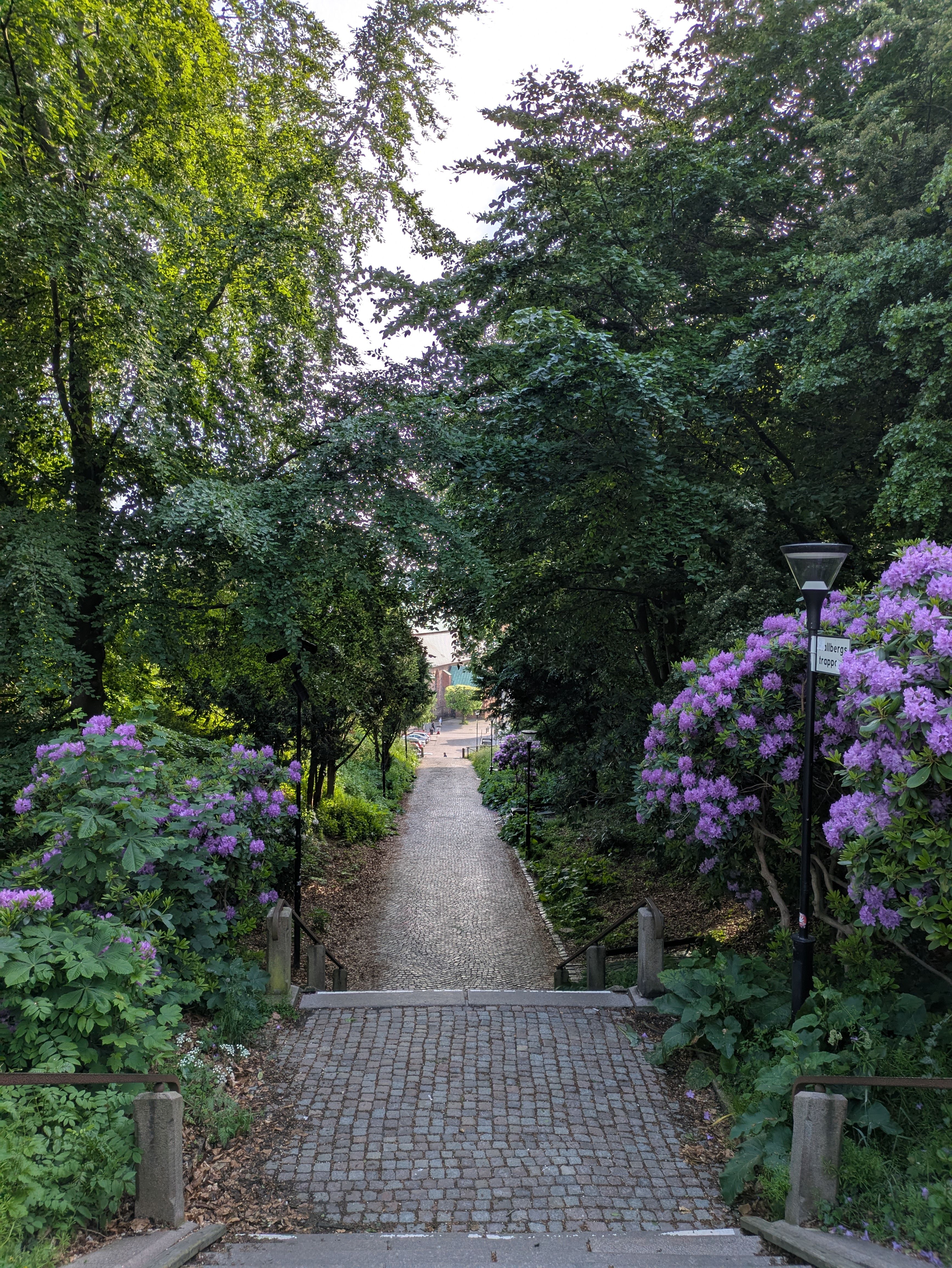 Sendero Tranquilo Del Parque Con Exuberante Follaje De Verano · Foto de ...