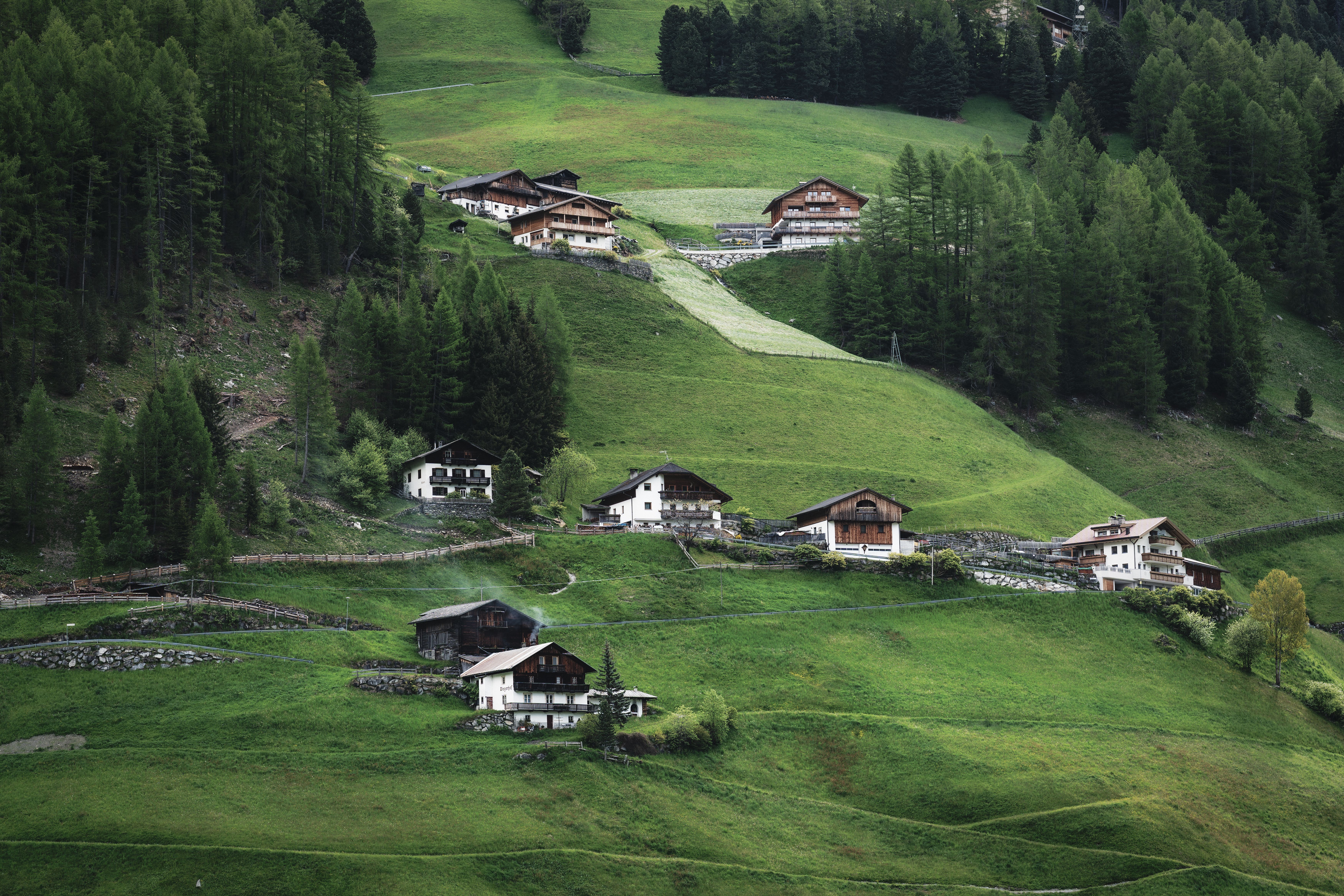 Forest, Landscape Photos, Download The BEST Free Forest, Landscape ...