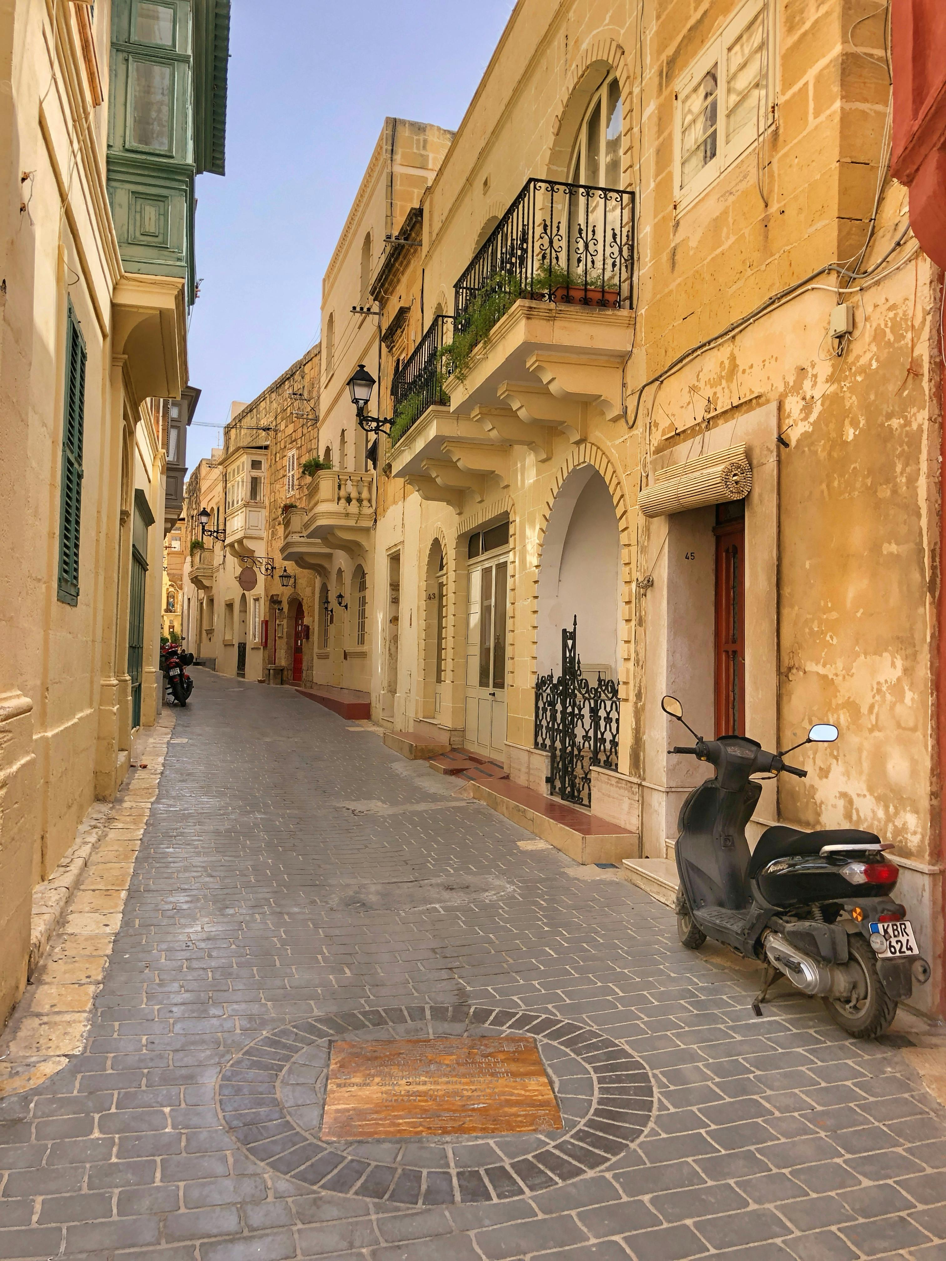 Scooter Anatomy Photos, Download The BEST Free Scooter Anatomy Stock ...