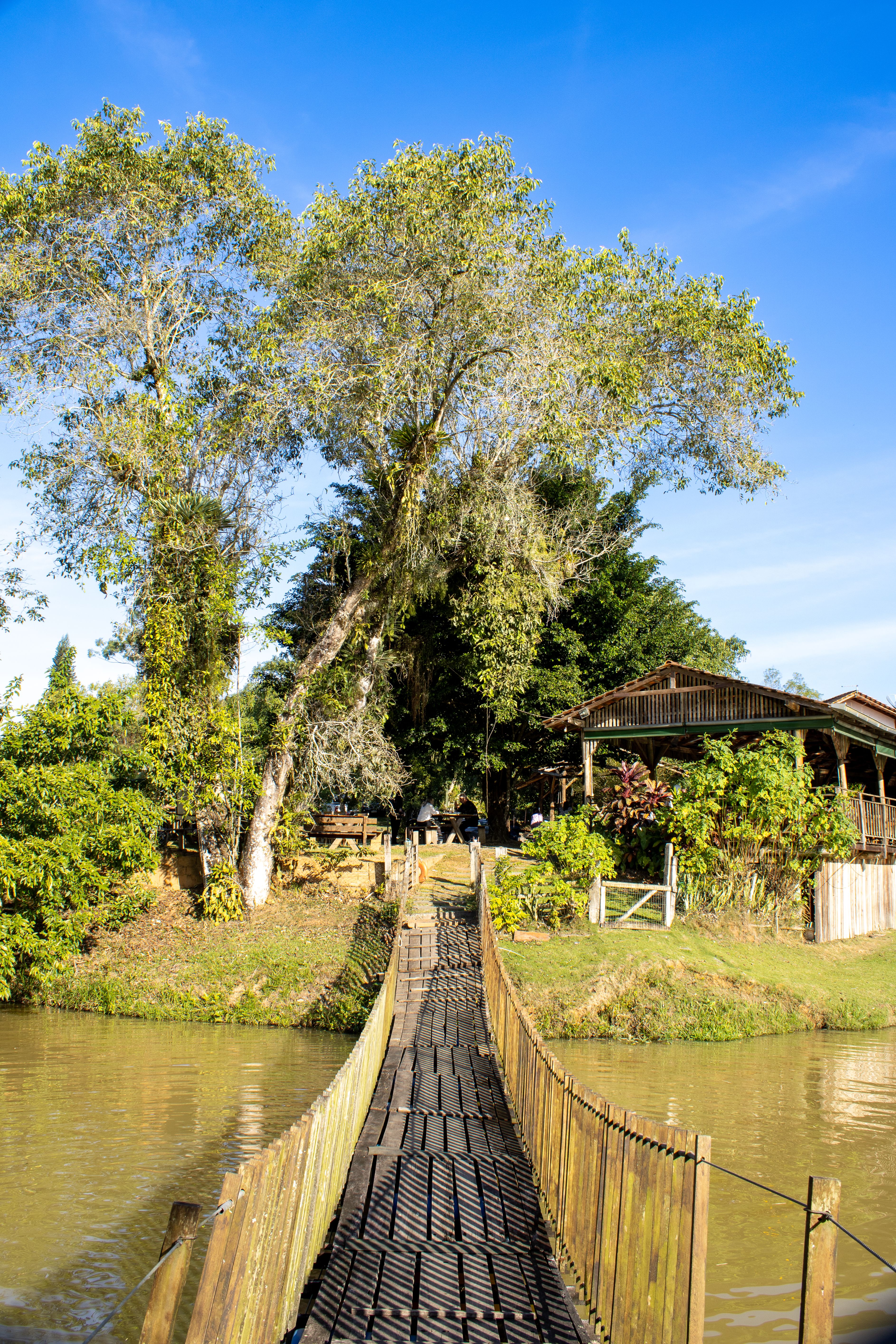 Rustic Bridge and Rural Landscape Scene · Free Stock Photo