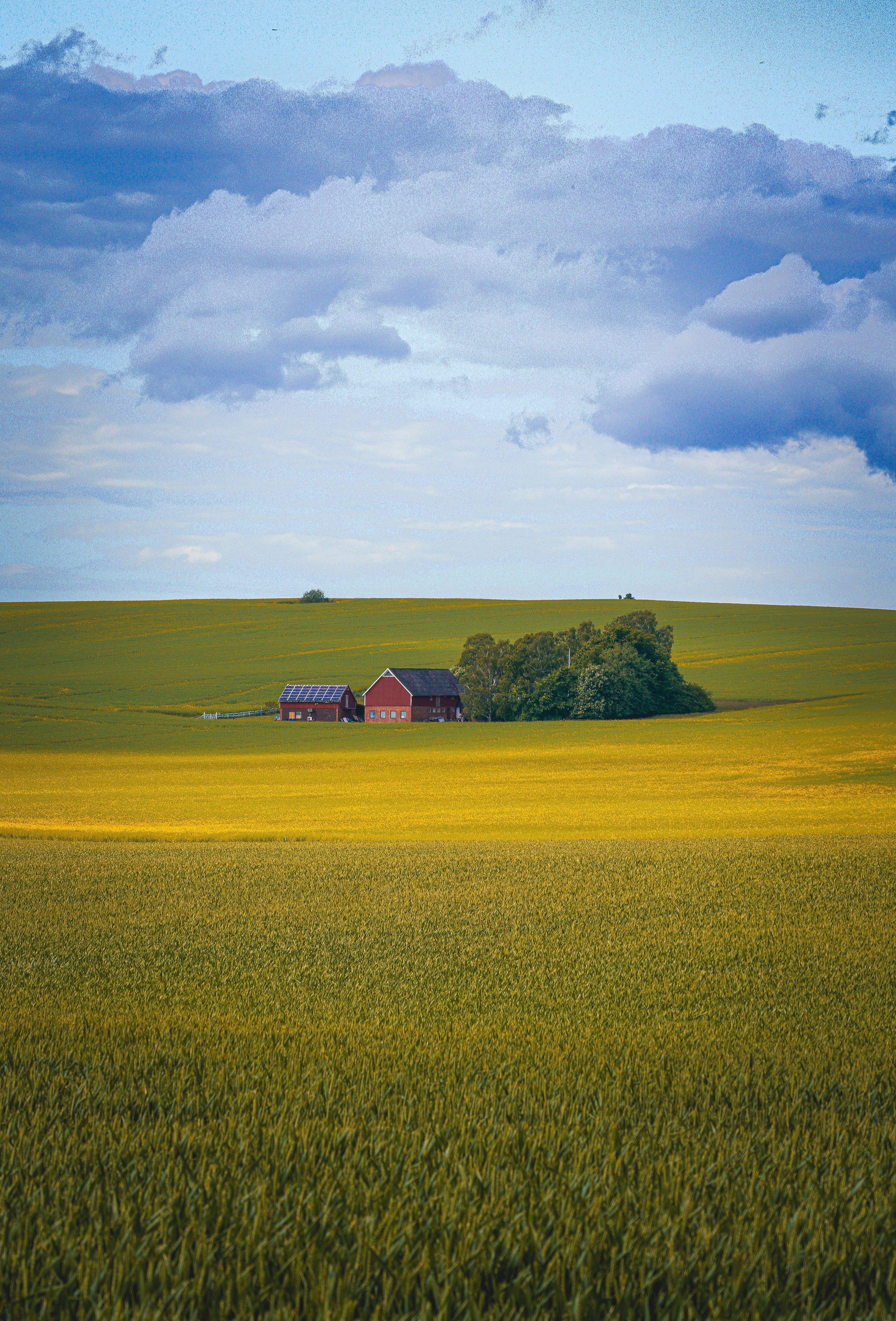 Idyllic Rural Landscape with Red Barns and Fields · Free Stock Photo