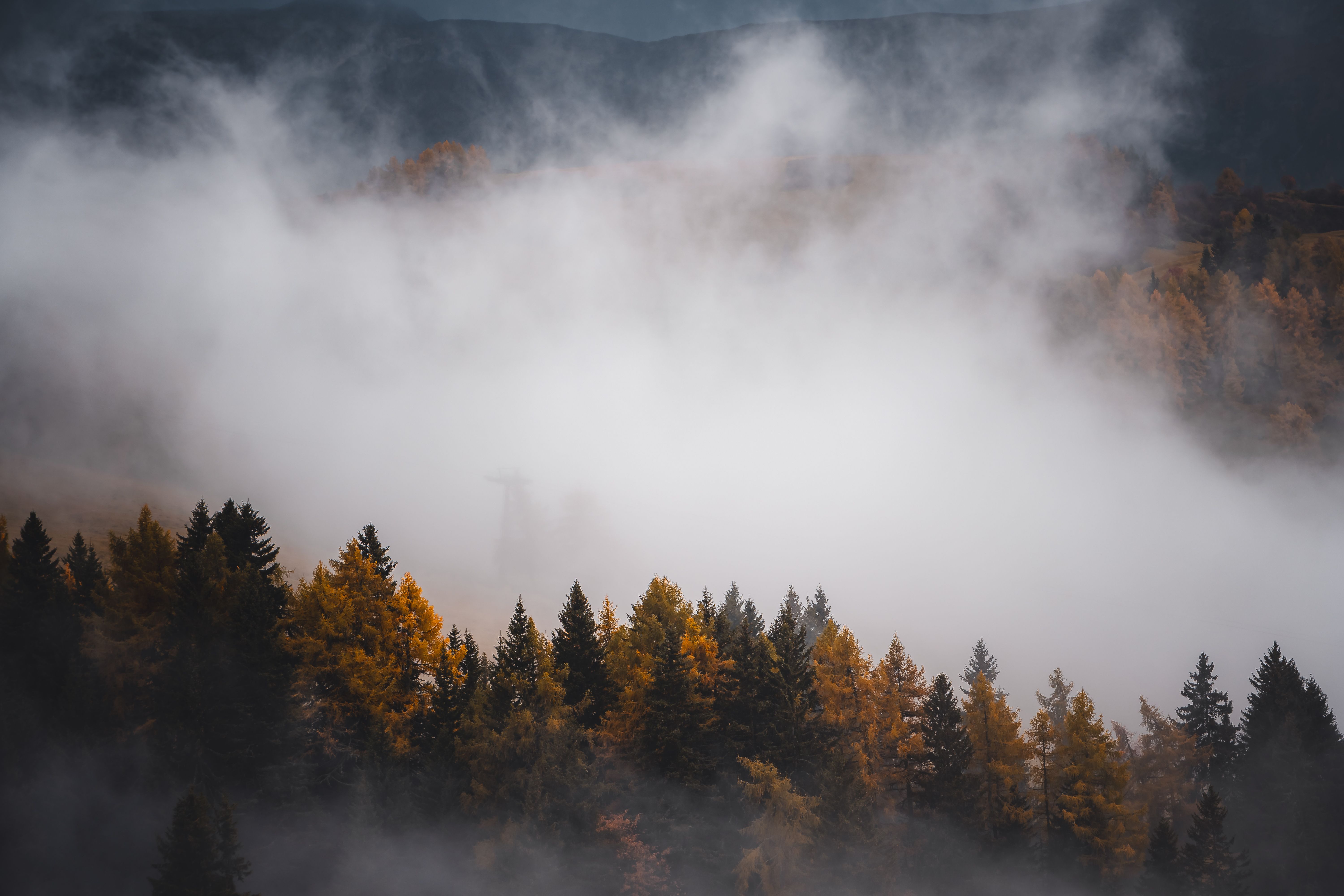 Misty Autumn Forest in Veneto, Italy · Free Stock Photo