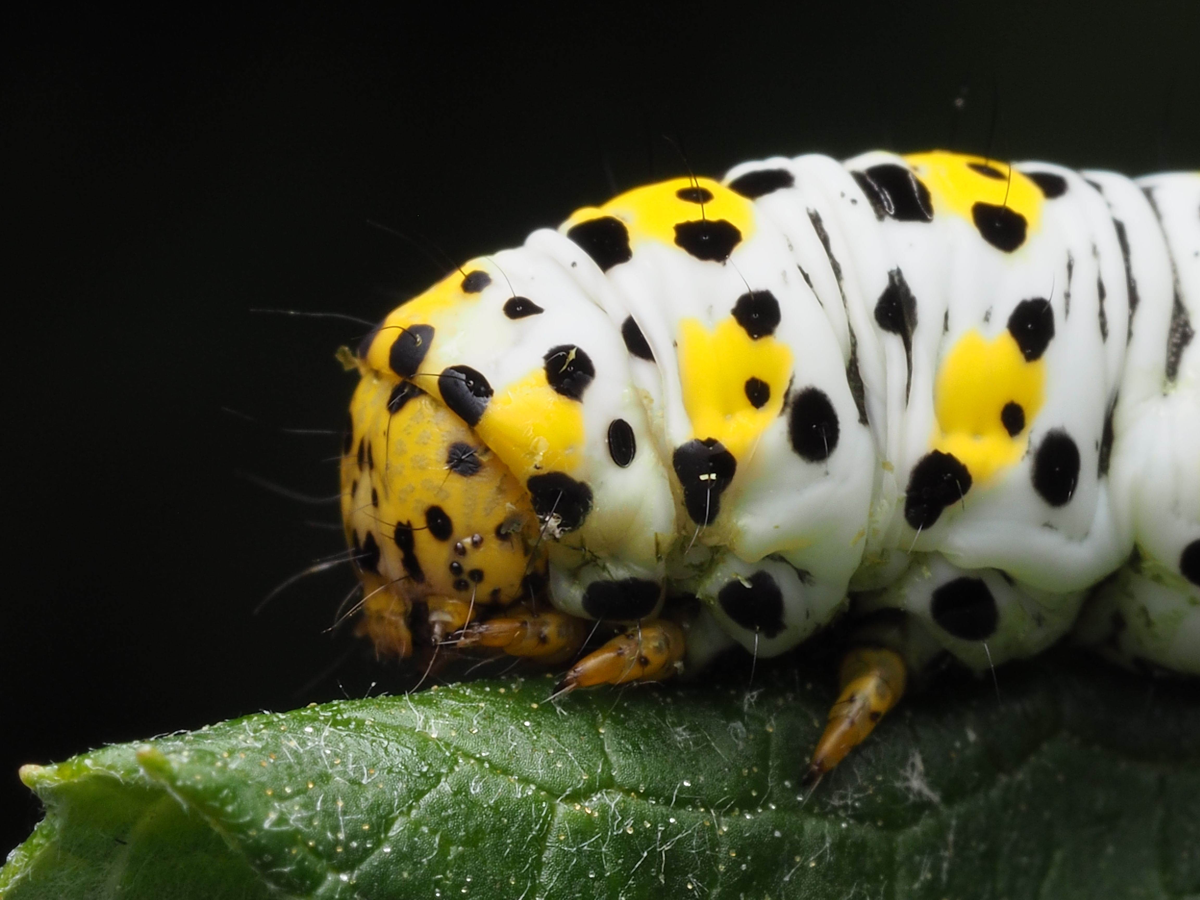 Nature Transformation Photos, Download The BEST Free Nature ...