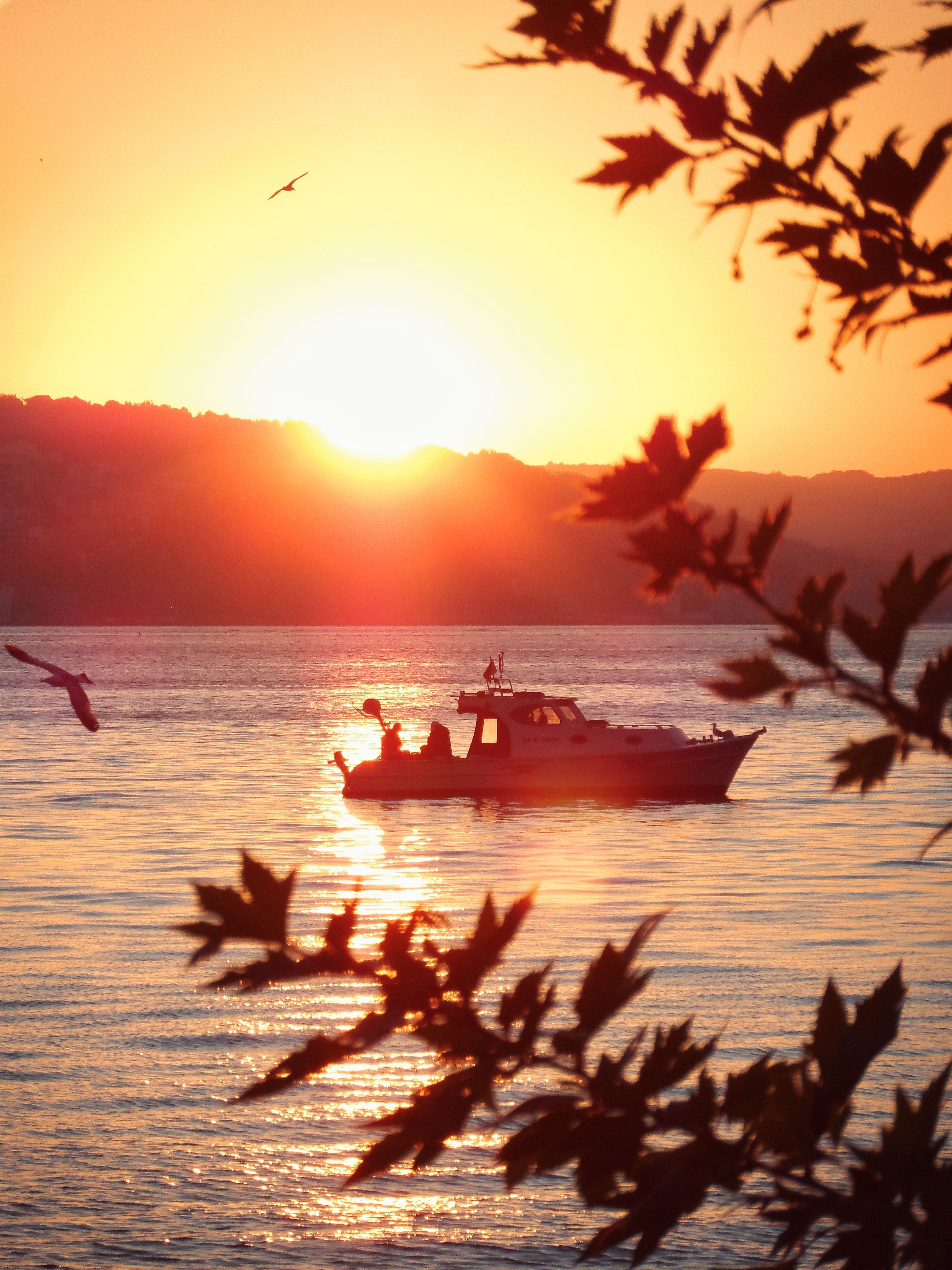 Sunset Boat Ride on Tranquil Waters · Free Stock Photo