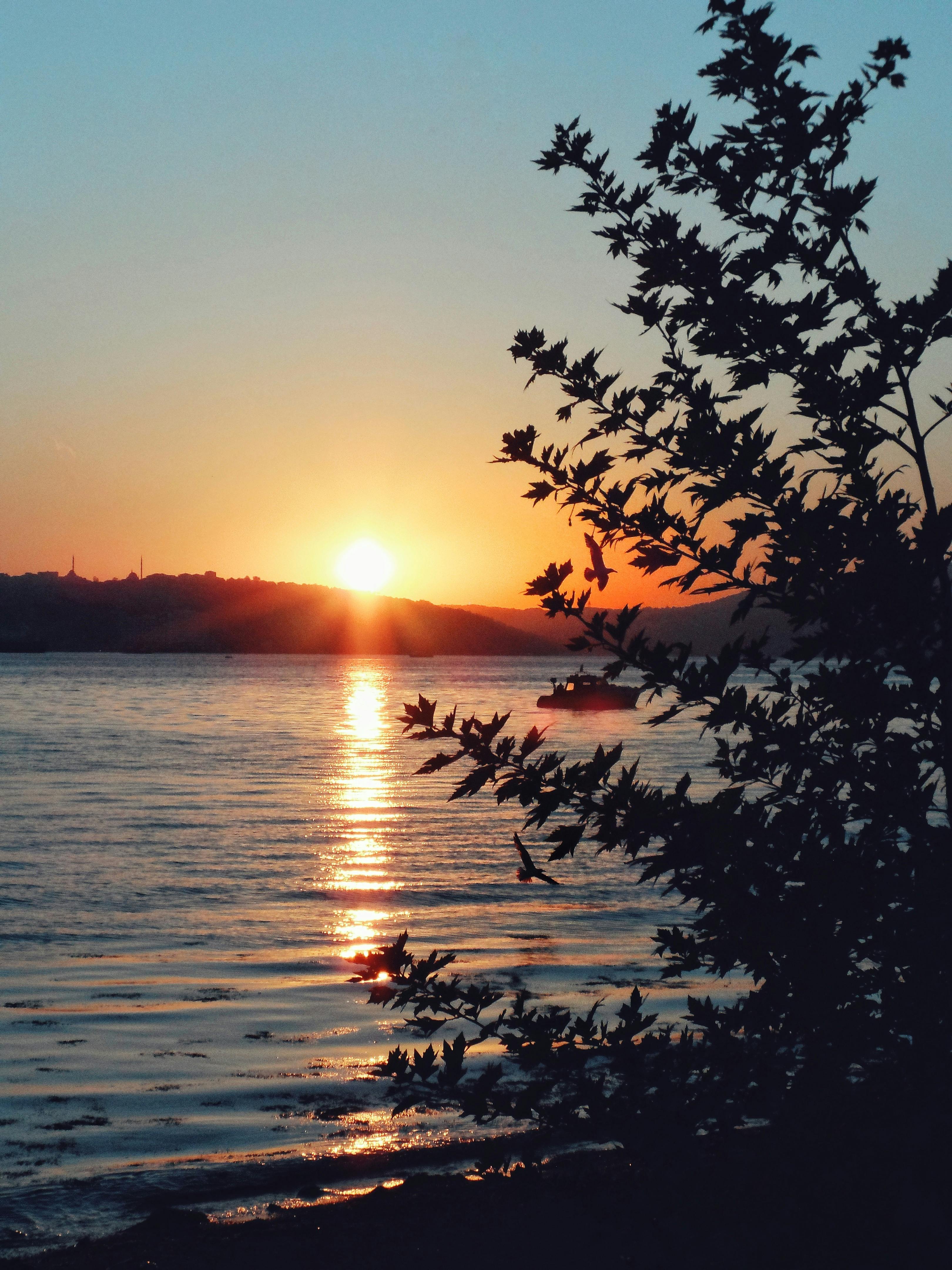 Liminal Photos, Download The BEST Free Liminal Stock Photos & HD Images