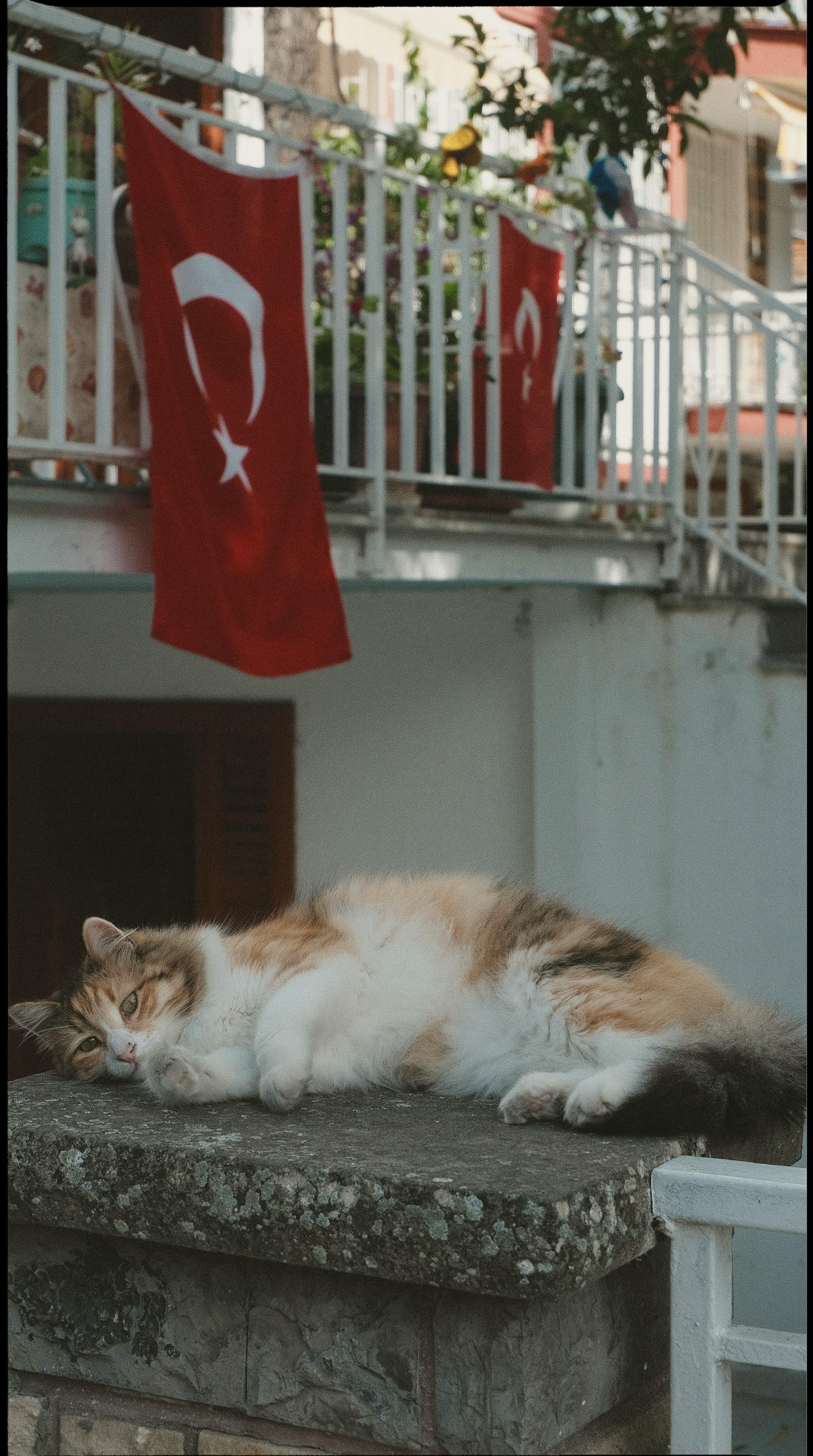 Frau Reif Nackt: Faszinierende Einblicke In Natürliche Schönheit ...