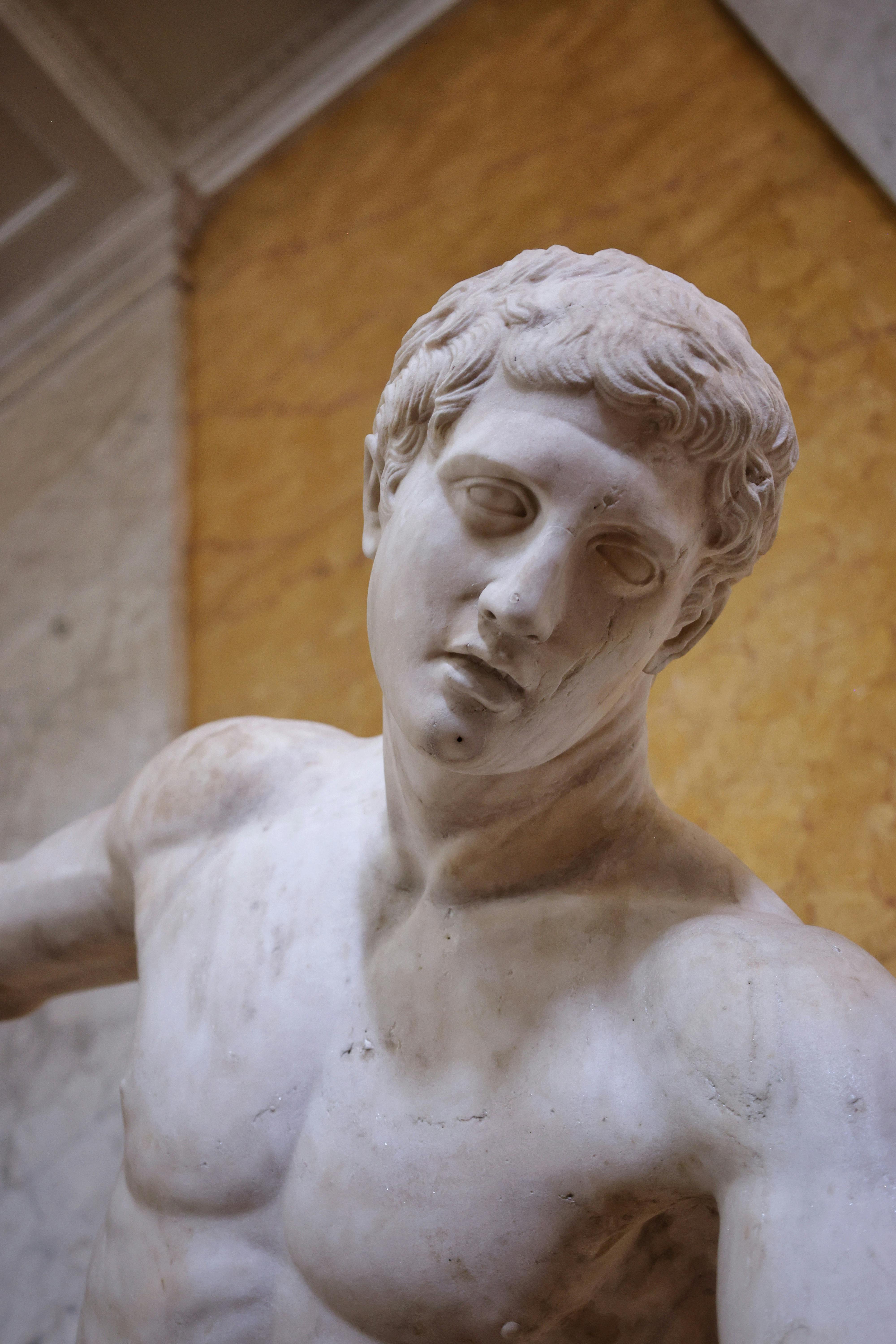 Menselijke Torso Photos, Download The BEST Free Menselijke Torso Stock ...