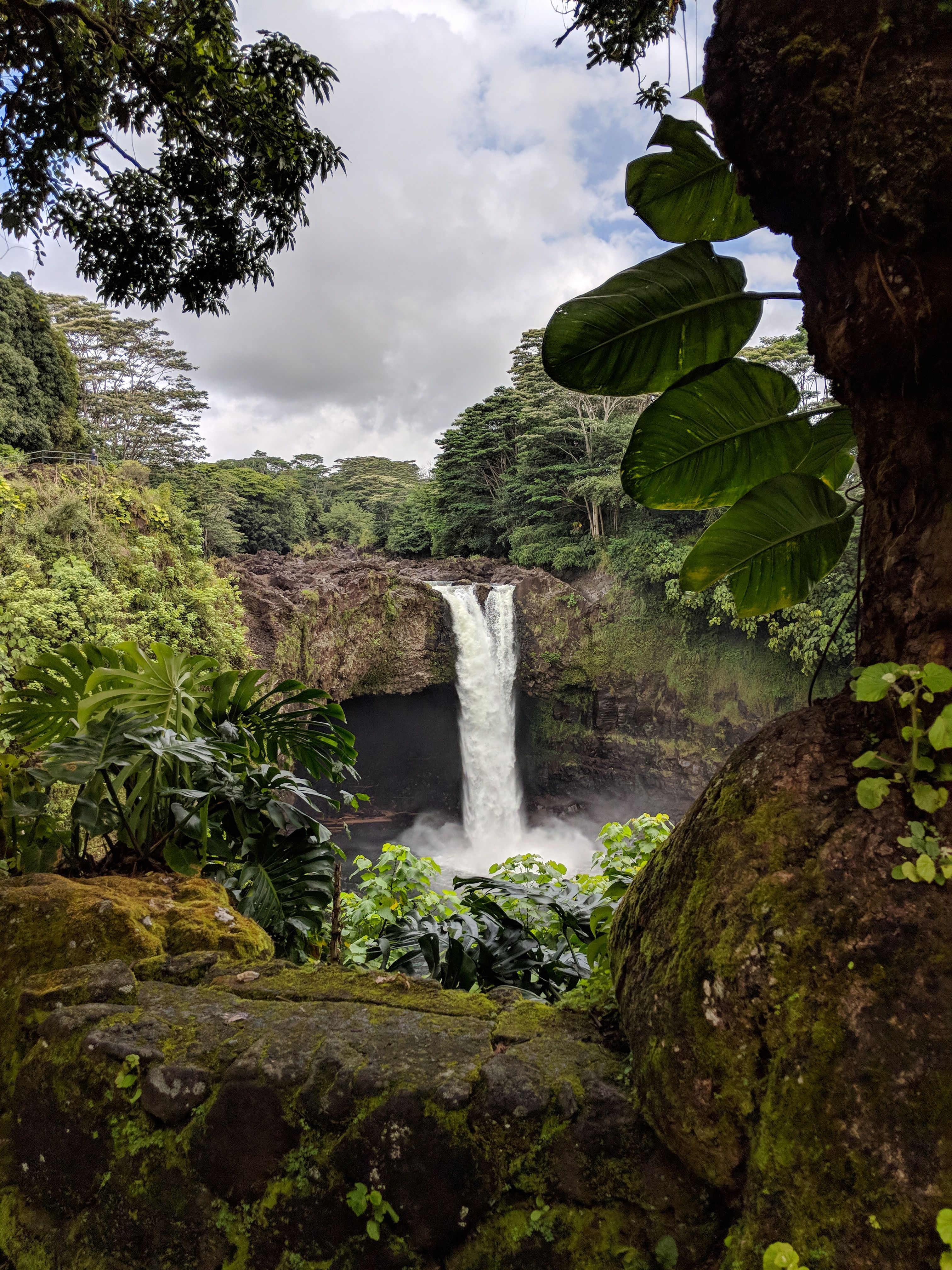 Majestic Rainbow Falls in Lush Hawaiian Jungle · Free Stock Photo