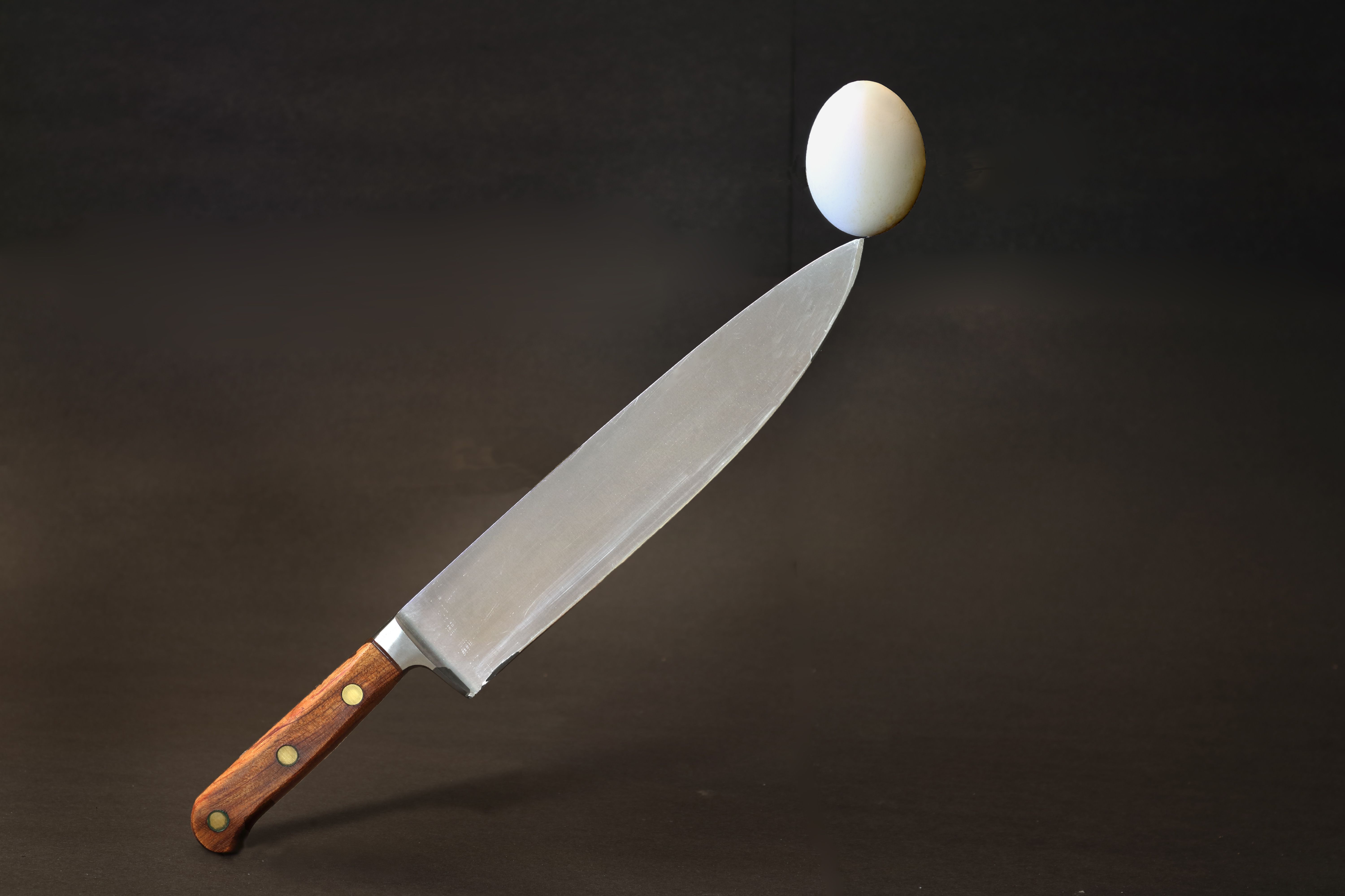 Caliper Egg Shell Photos, Download The BEST Free Caliper Egg Shell ...