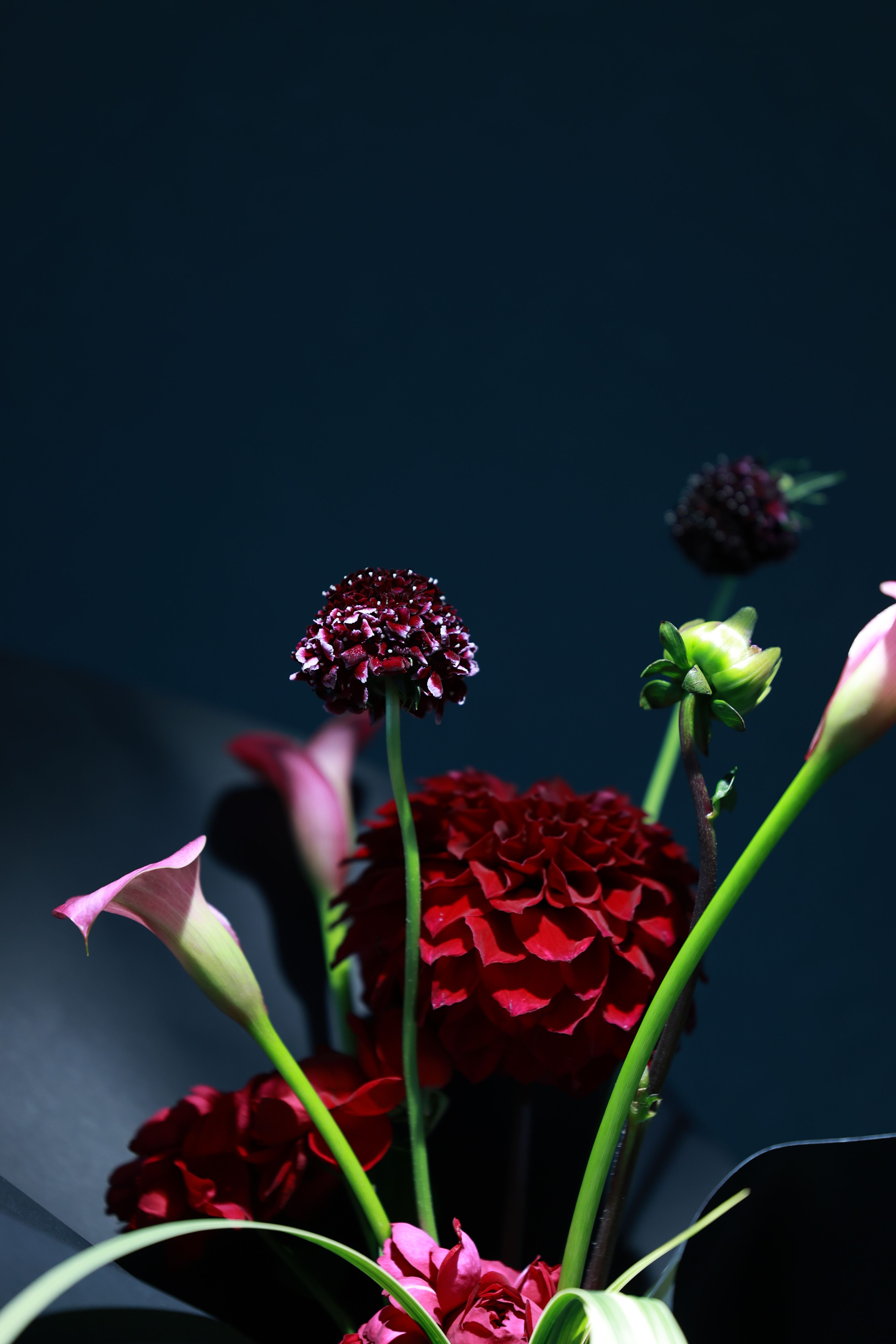 Dark Floral Arrangement with Red Calla Lilies · Free Stock Photo