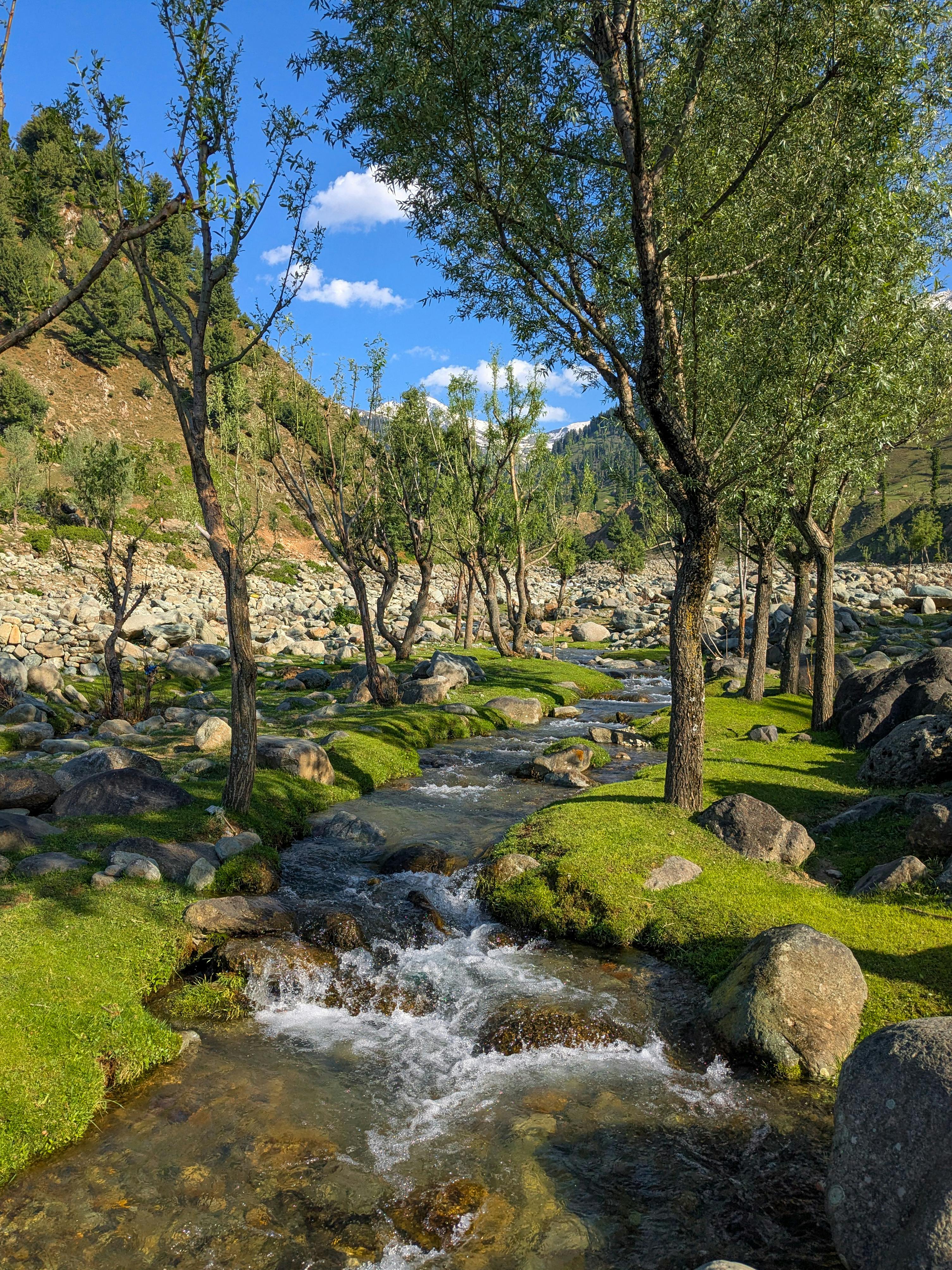 Scenic Mountain Stream in Lush Valley · Free Stock Photo