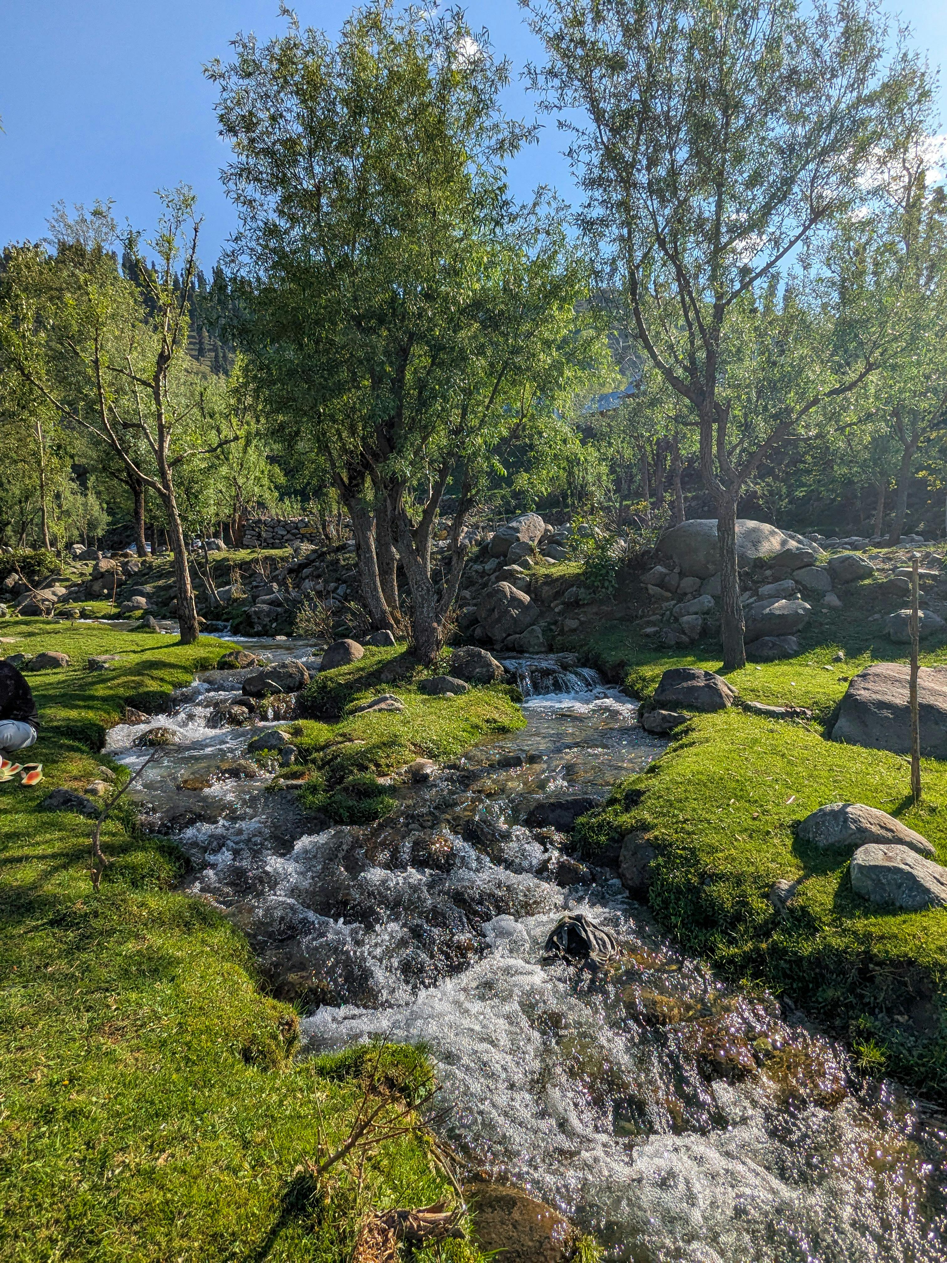 Beautiful Nature Greenery Raining Day Picture In Pakistan Photos ...