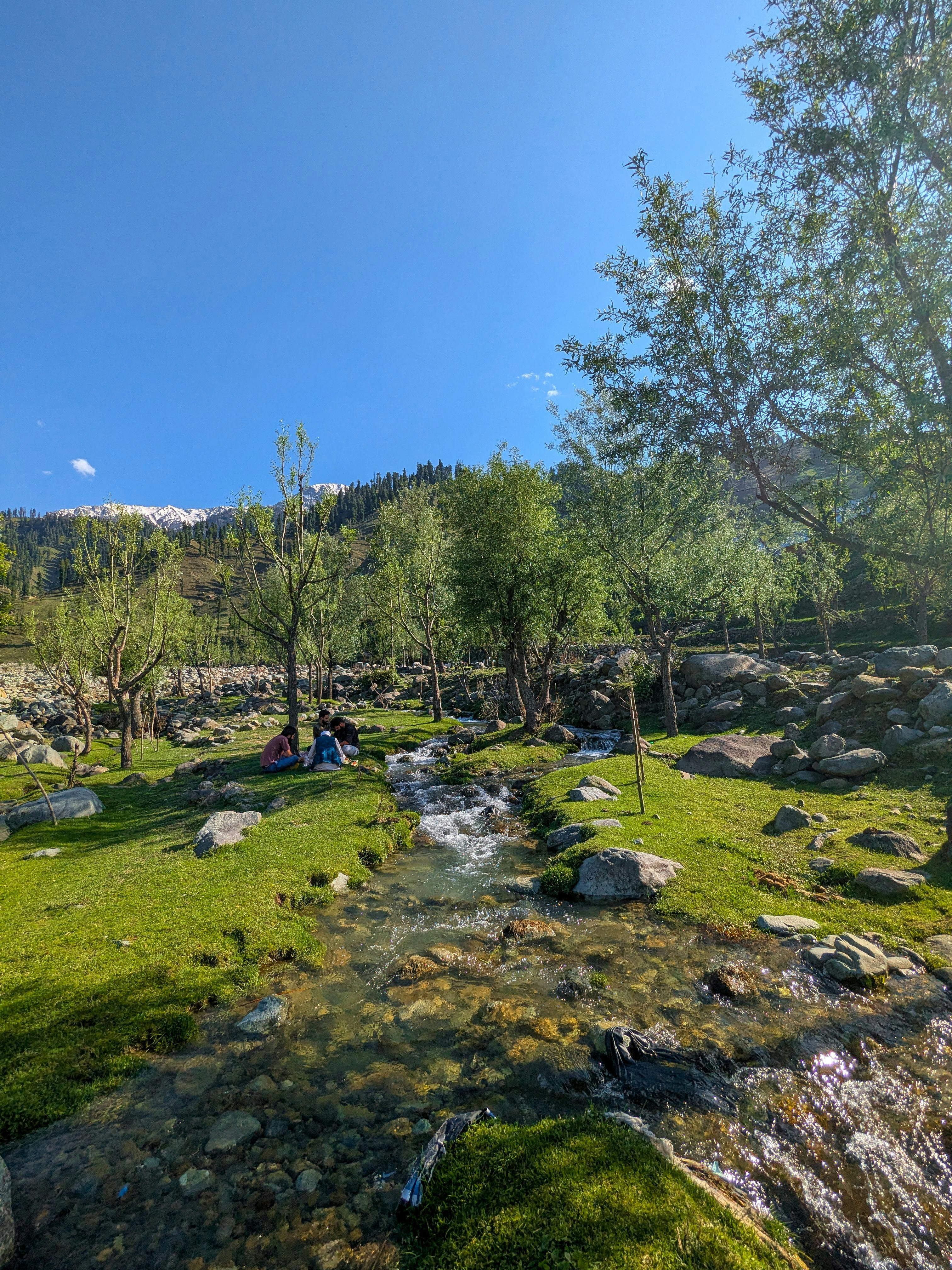 Nike Green Color Air Max Photos, Download The BEST Free Nike Green ...