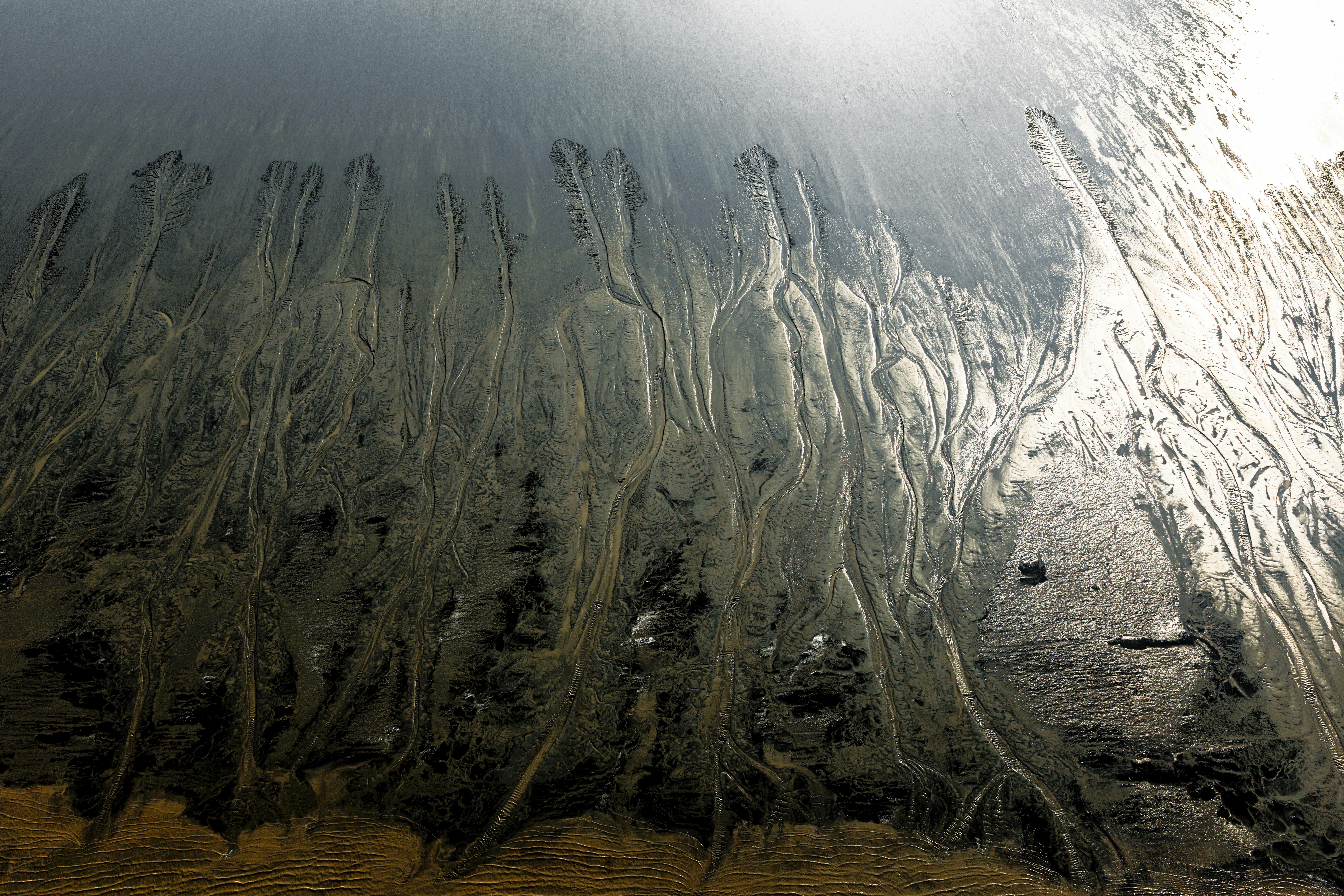 Aerial View of Tidal Mudflats with Intricate Patterns · Free Stock Photo