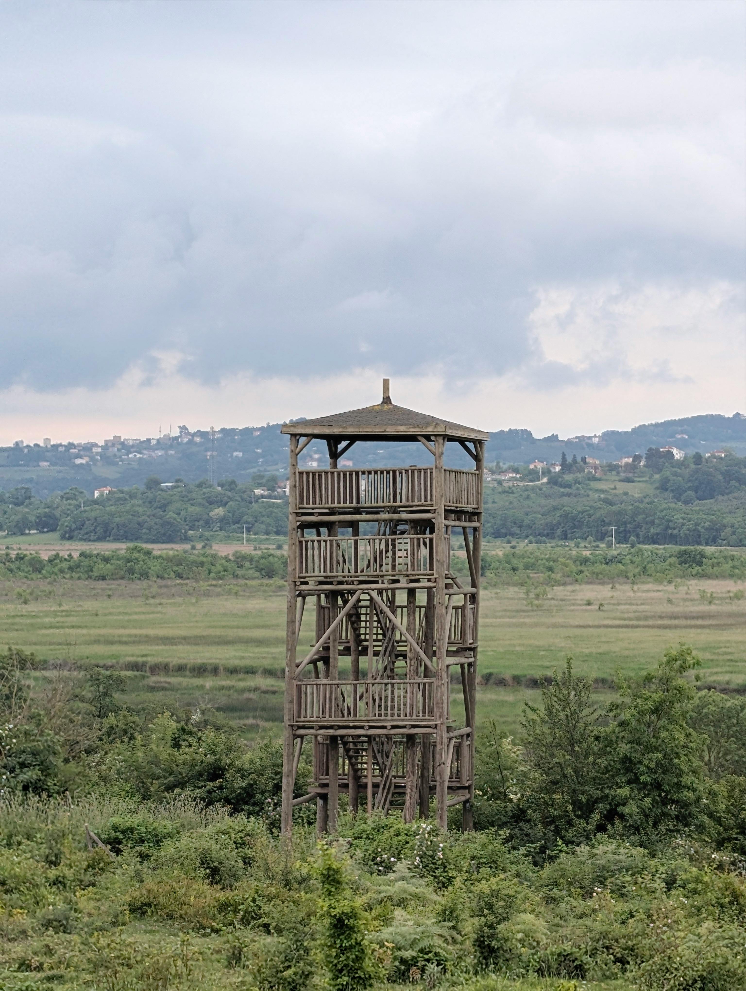 Rustic Wooden Observation Tower in Lush Countryside · Free Stock Photo