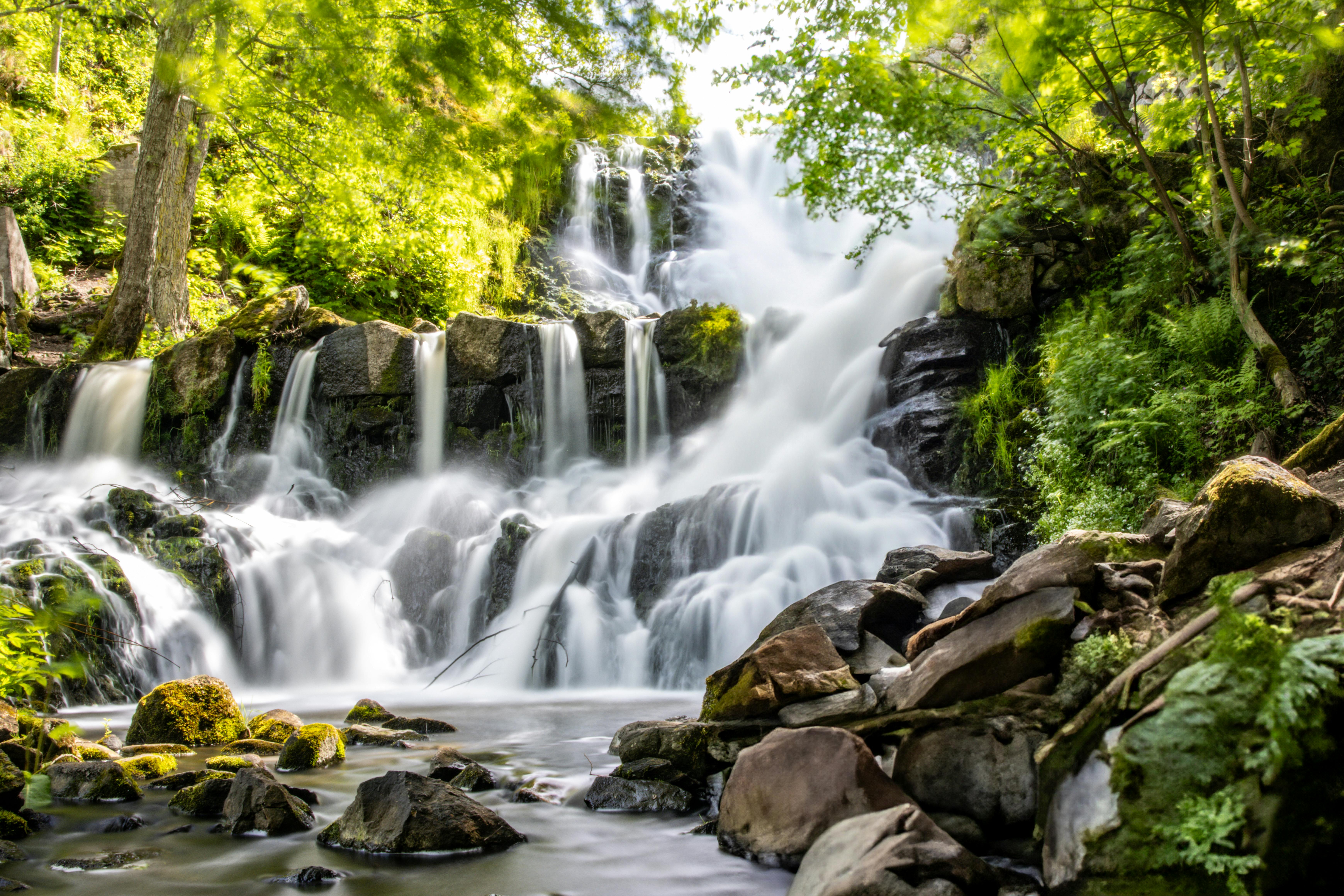 Greenery 4k Photos, Download The BEST Free Greenery 4k Stock Photos ...