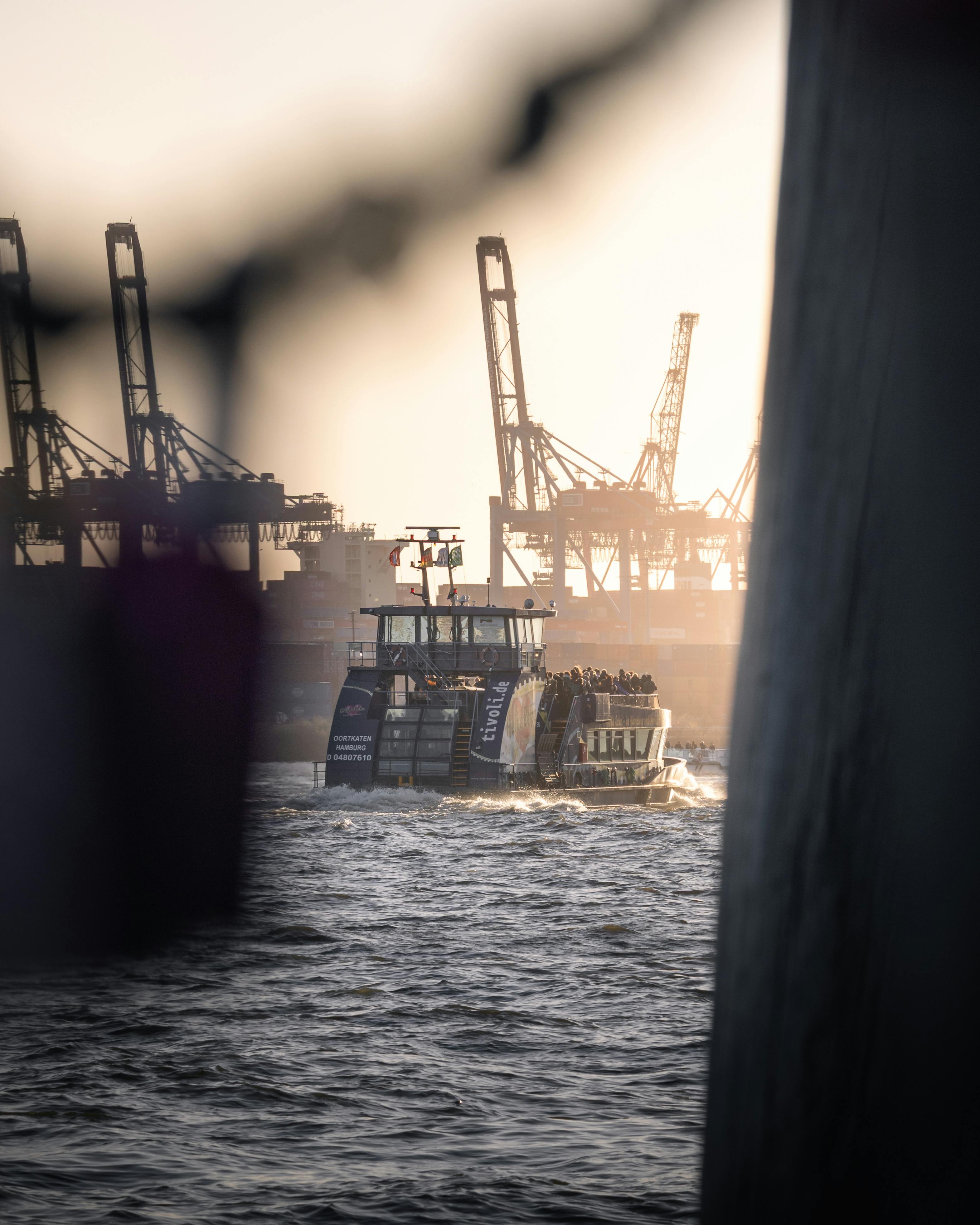 Hd Sinari Photos, Download The BEST Free Hd Sinari Stock Photos & HD Images