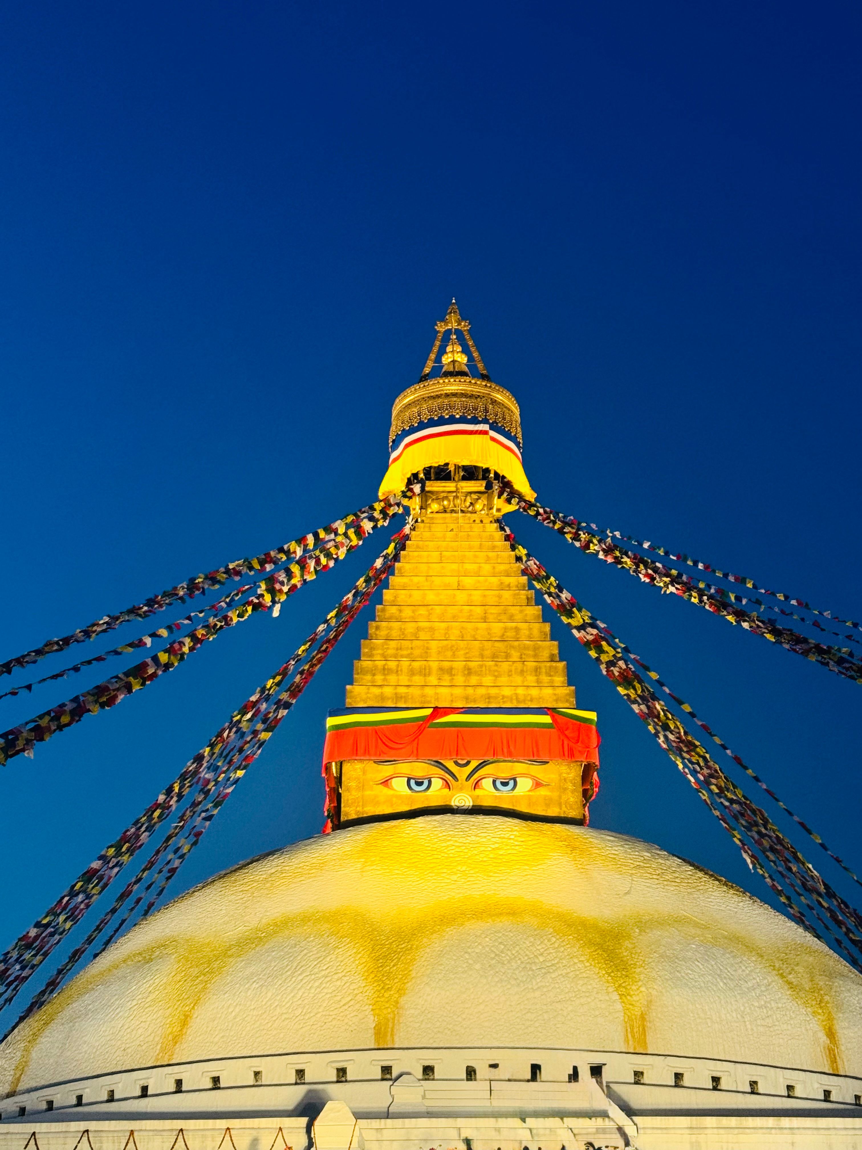 Himalayan Omena Photos, Download The BEST Free Himalayan Omena Stock ...