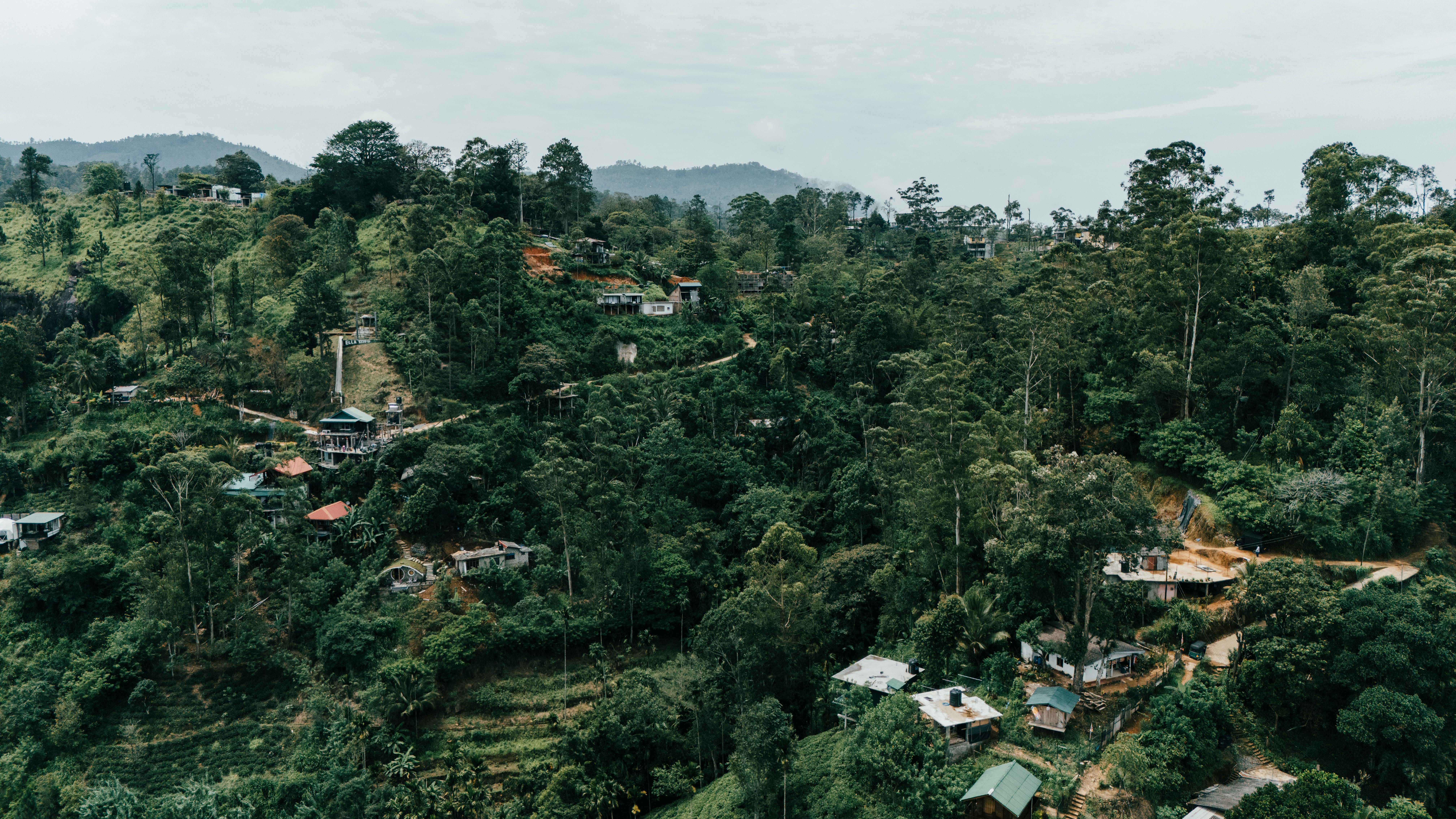 Aerial View of Lush Hillside in Sri Lanka · Free Stock Photo