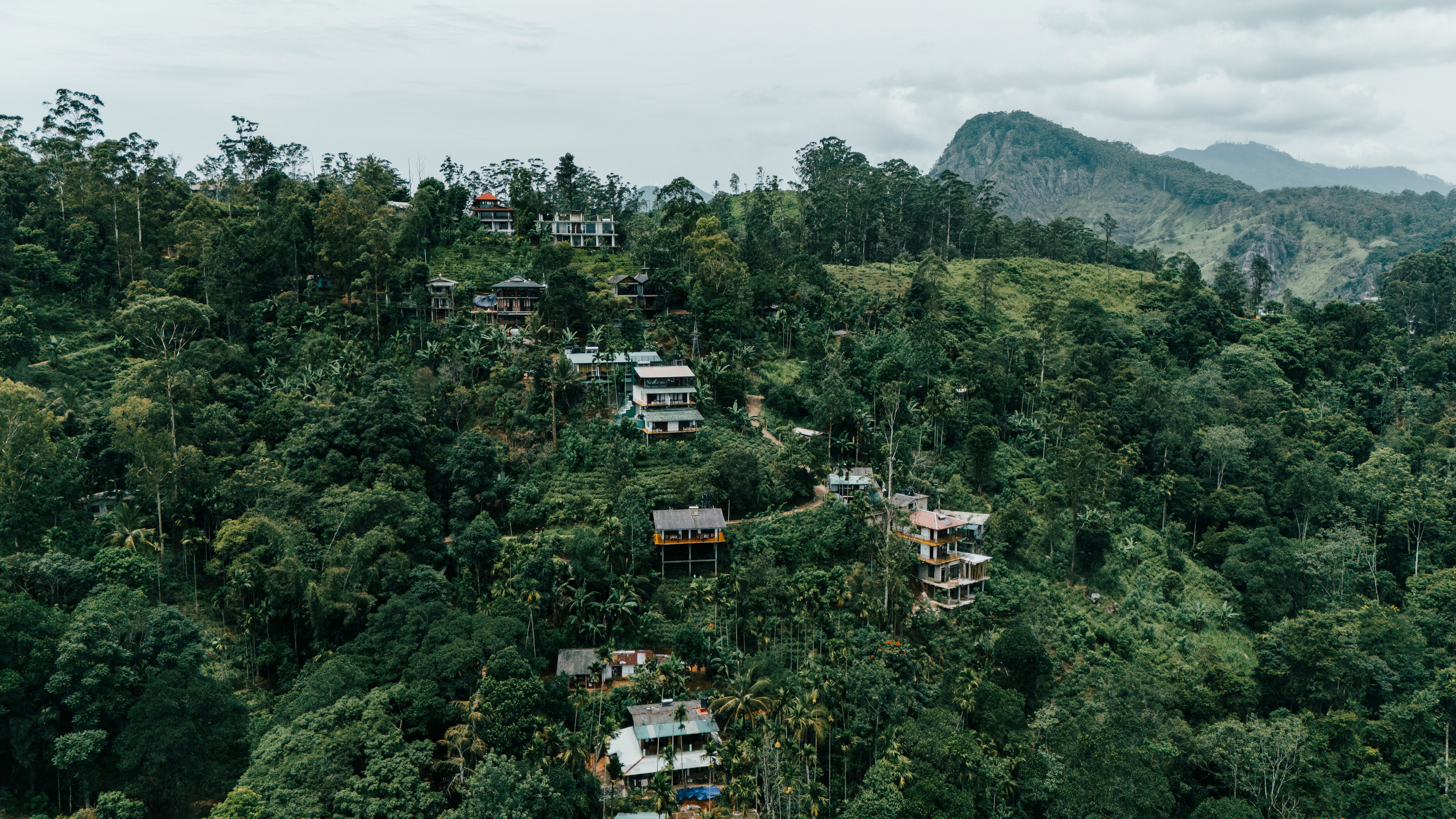 Lush Green Hilltop Village in Sri Lanka · Free Stock Photo
