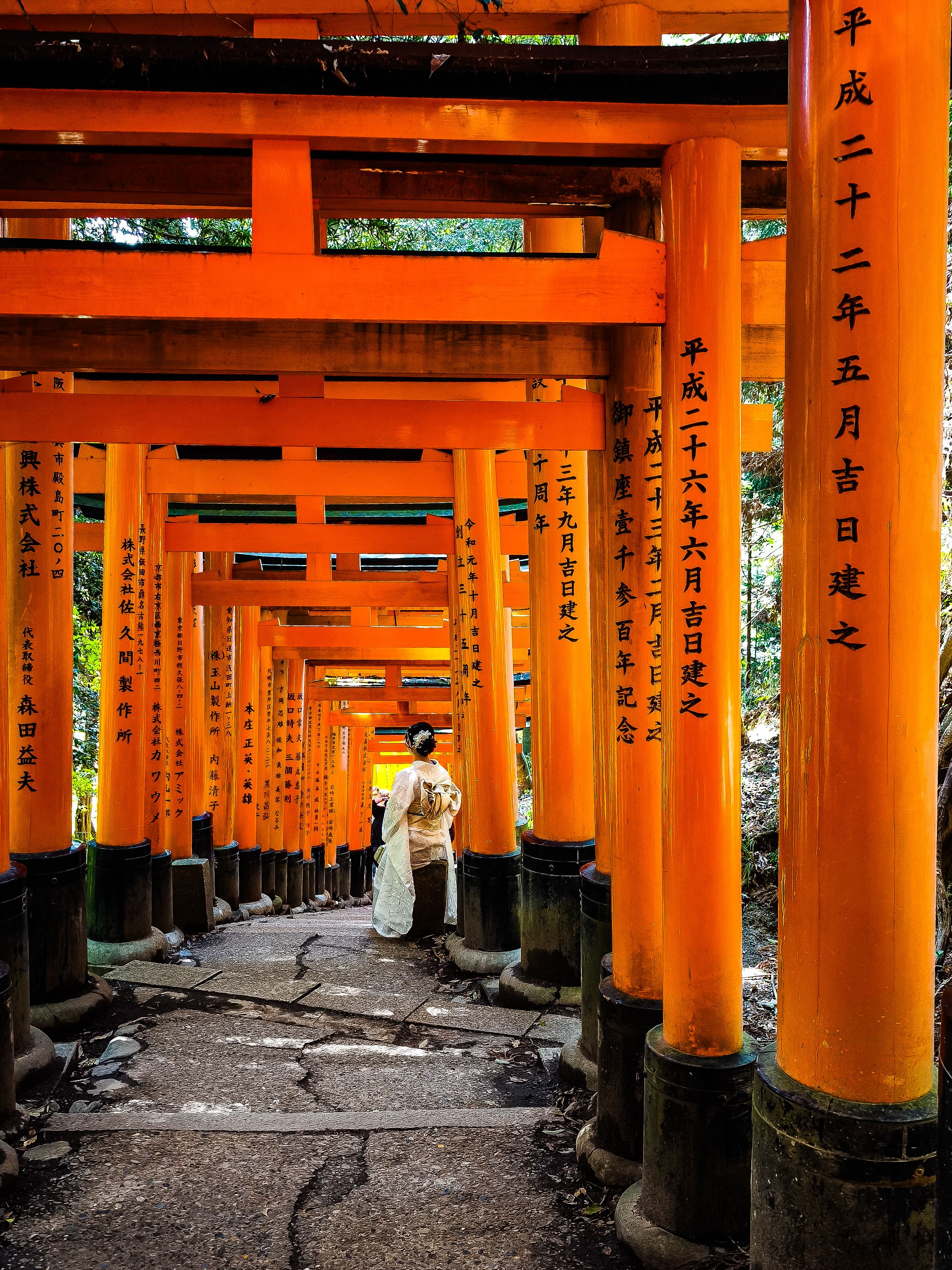 Traditional Japanese Torii Gates in Kyoto · Free Stock Photo