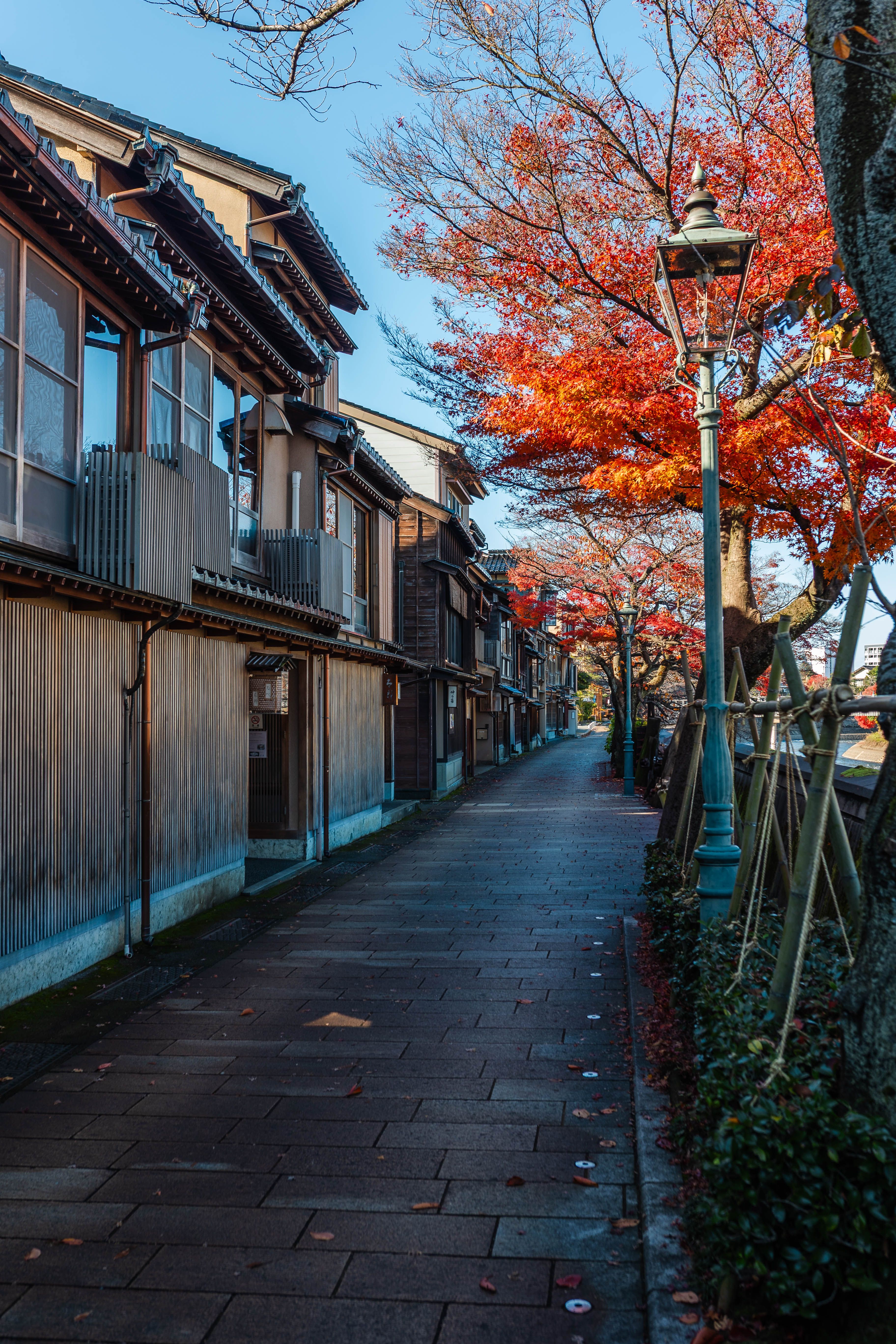Autumn Street in Historic Japanese District · Free Stock Photo