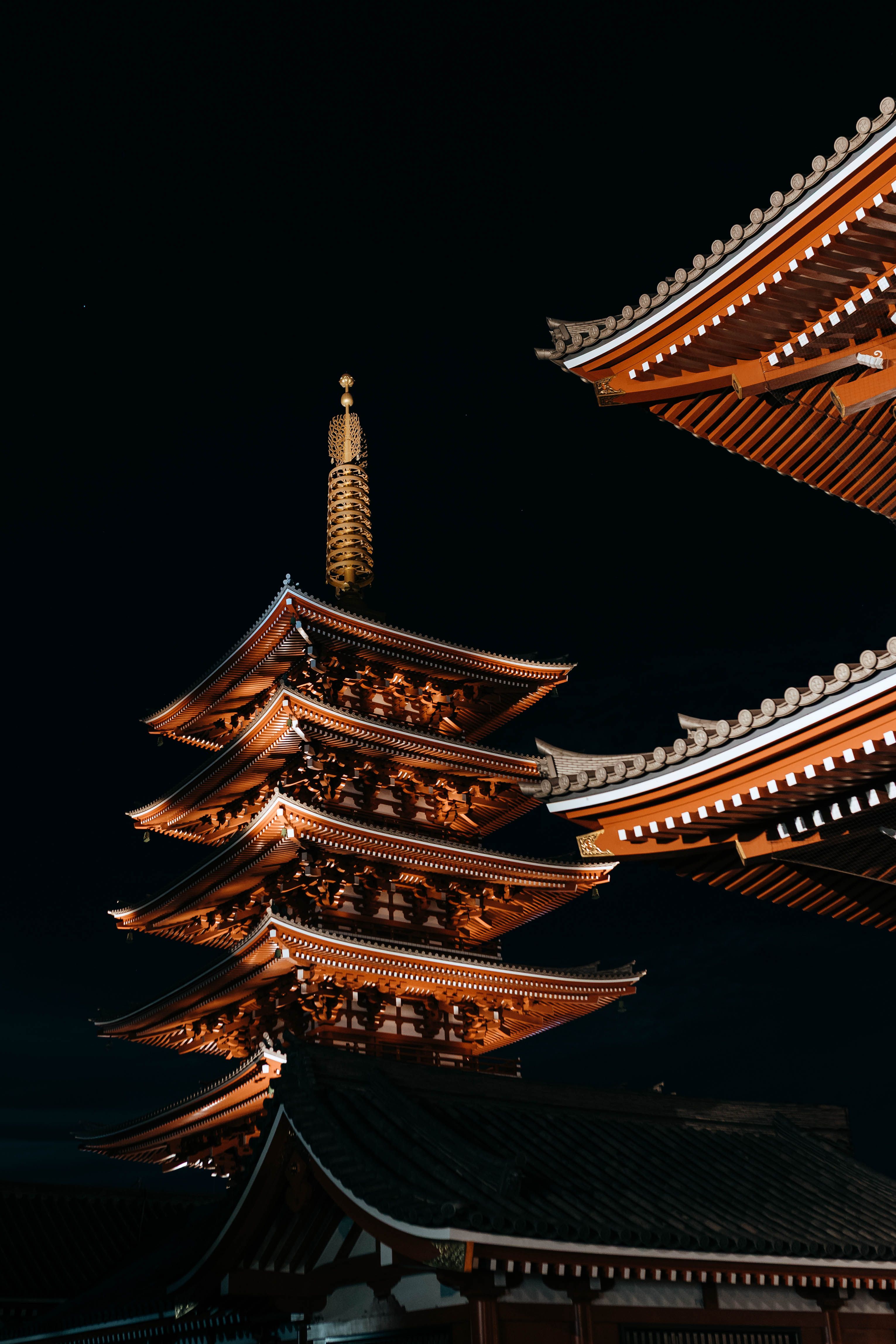 Traditional Japanese Pagoda at Night · Free Stock Photo