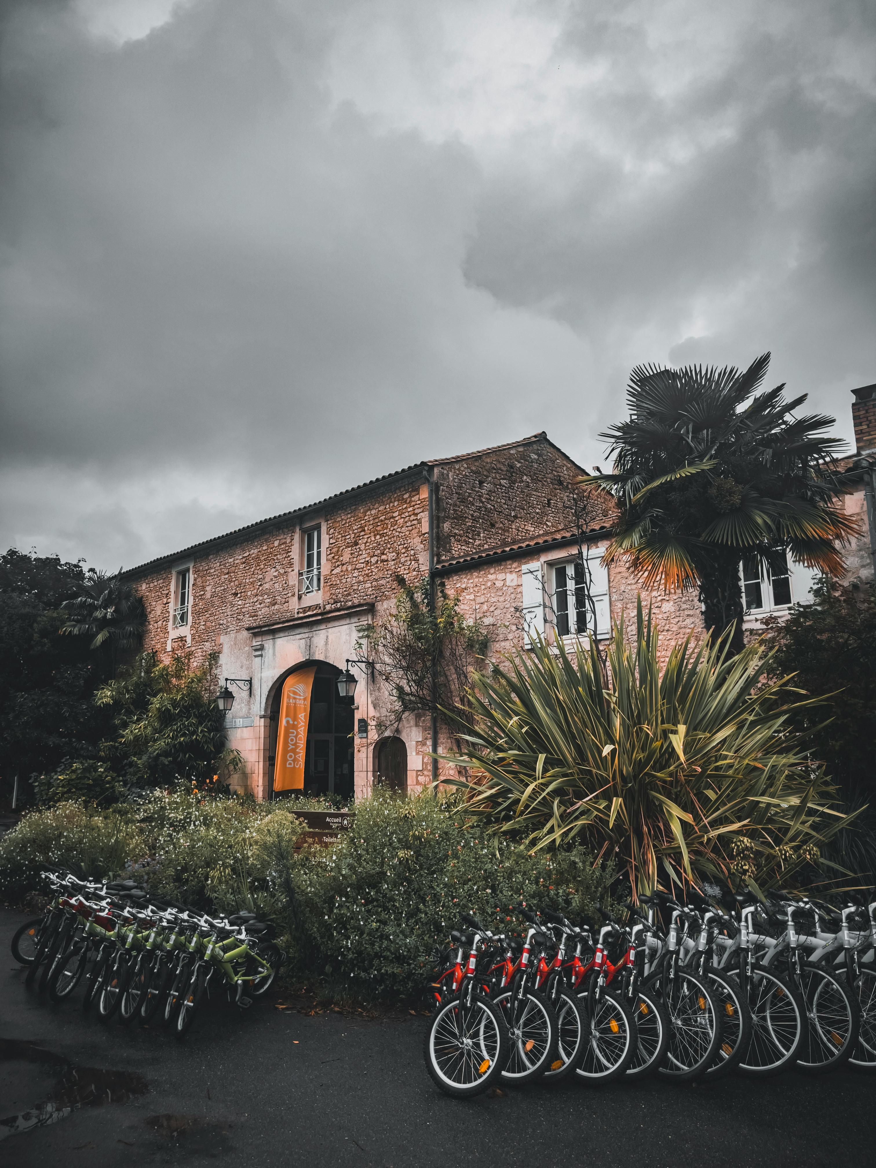 Rust And Greenery Photos, Download The BEST Free Rust And Greenery ...